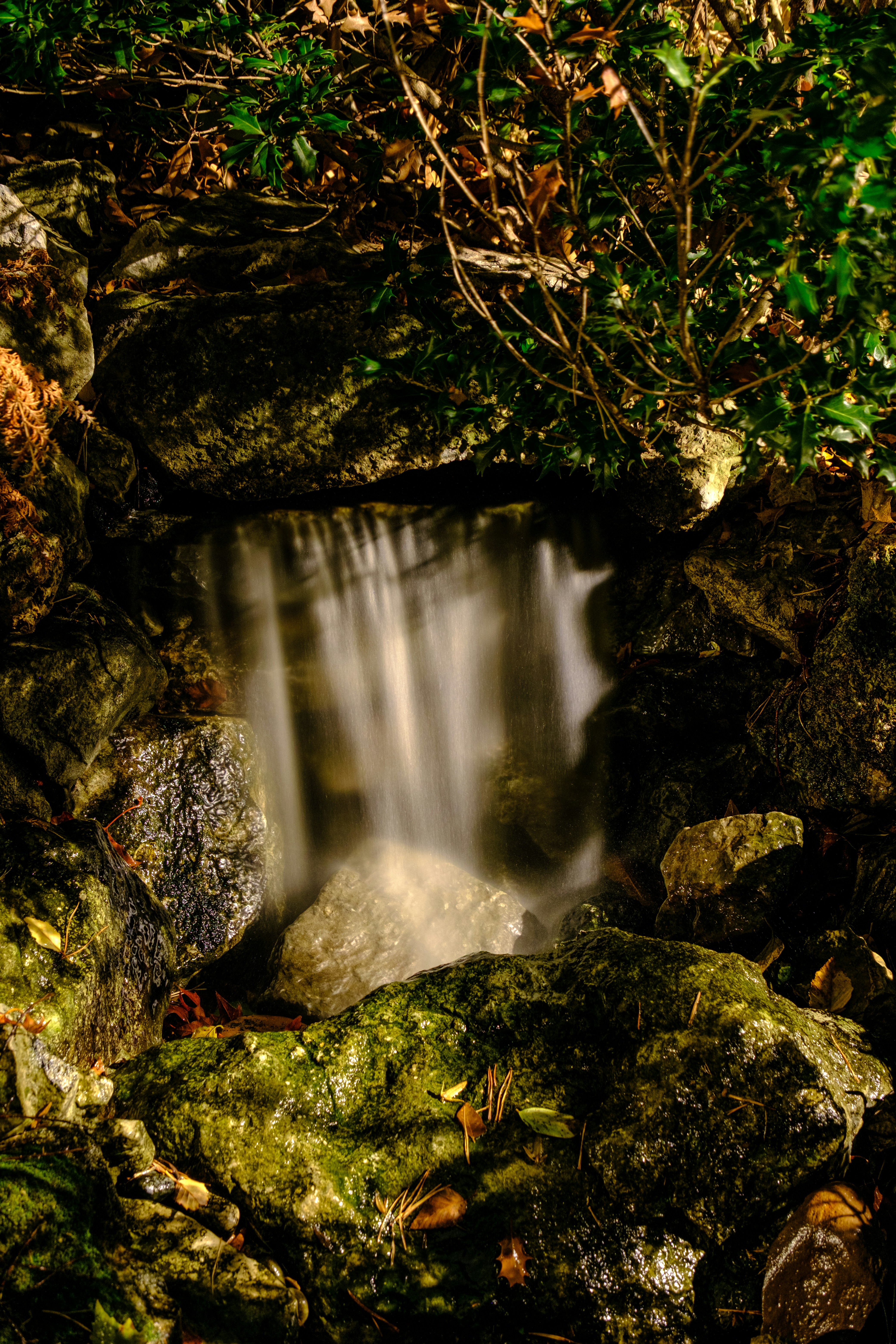 Whispers of Water: A Tranquil Cascade