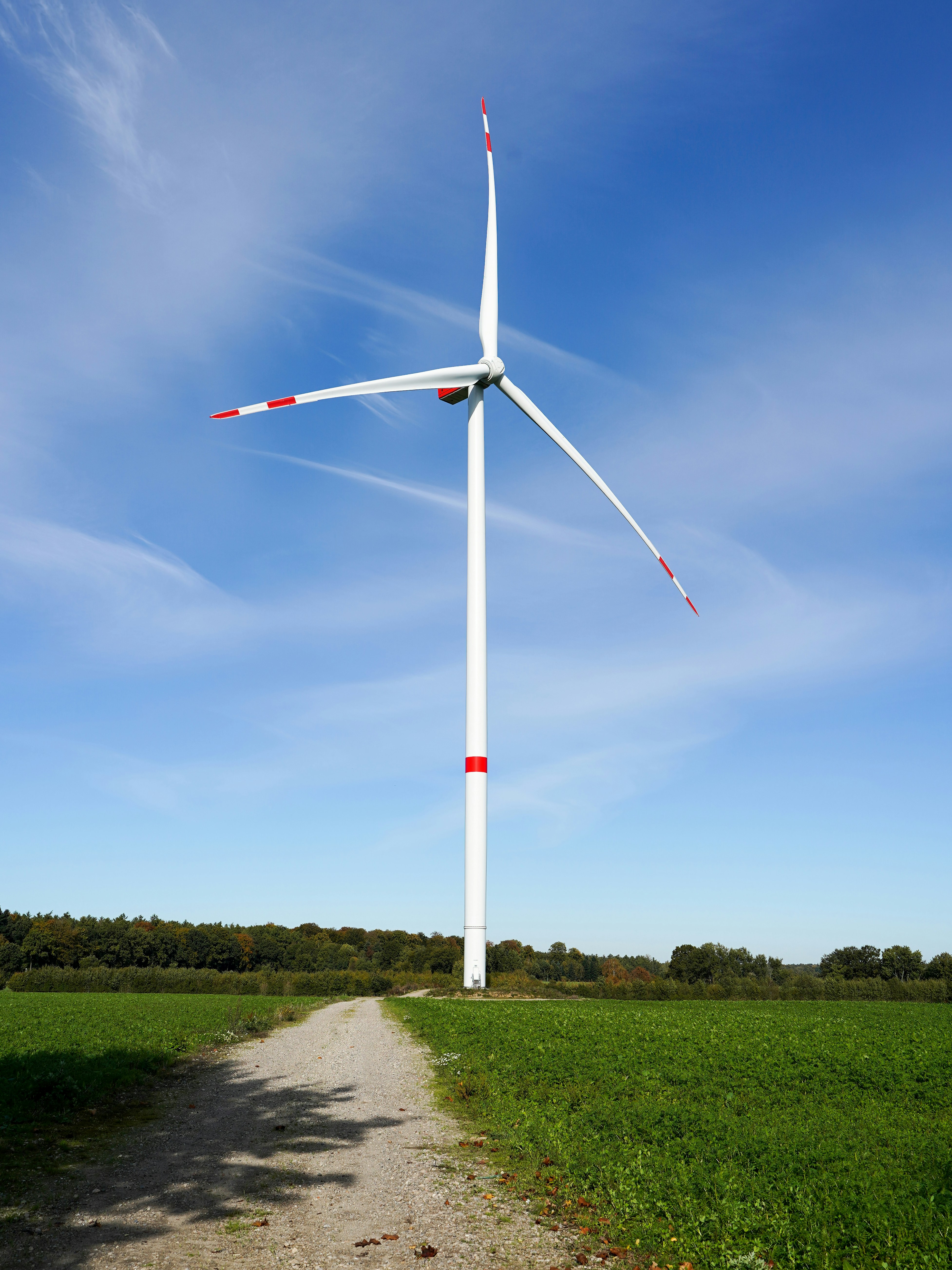 A towering wind turbine stands majestically against a clear blue sky, surrounded by lush green fields and a winding gravel path.