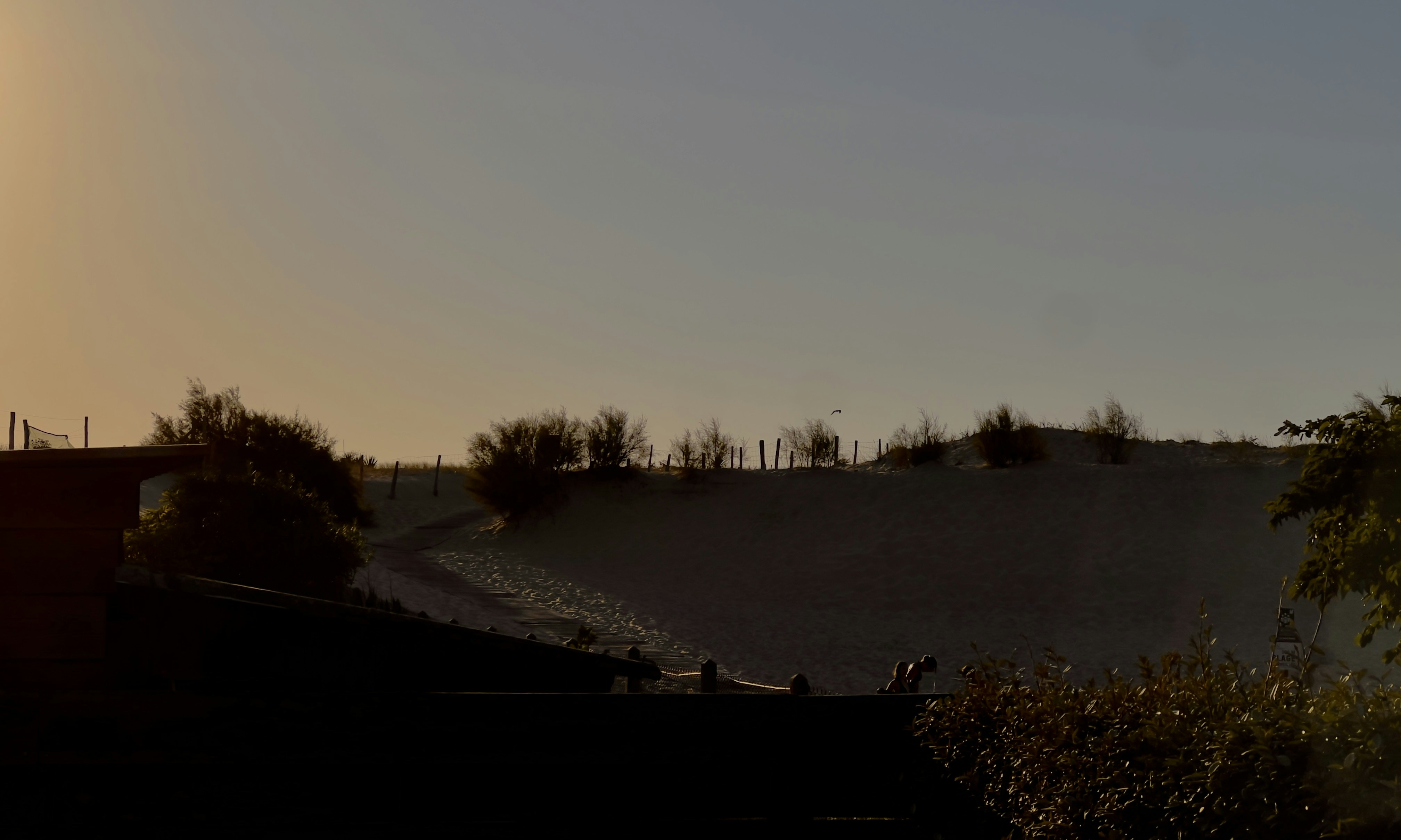 Whispers of Dusk on the Dunes