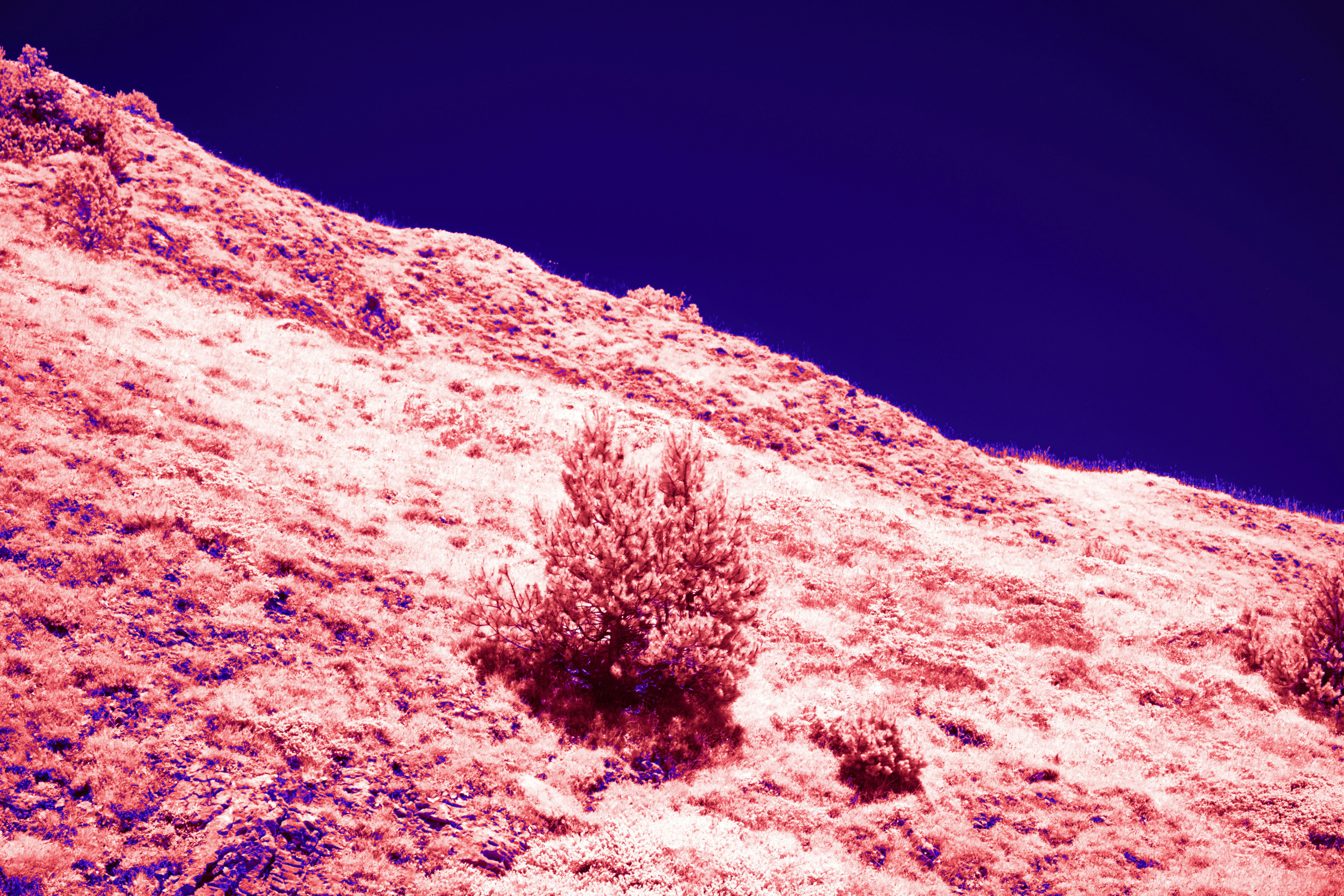 Surreal Terrain in a Chromatic Landscape