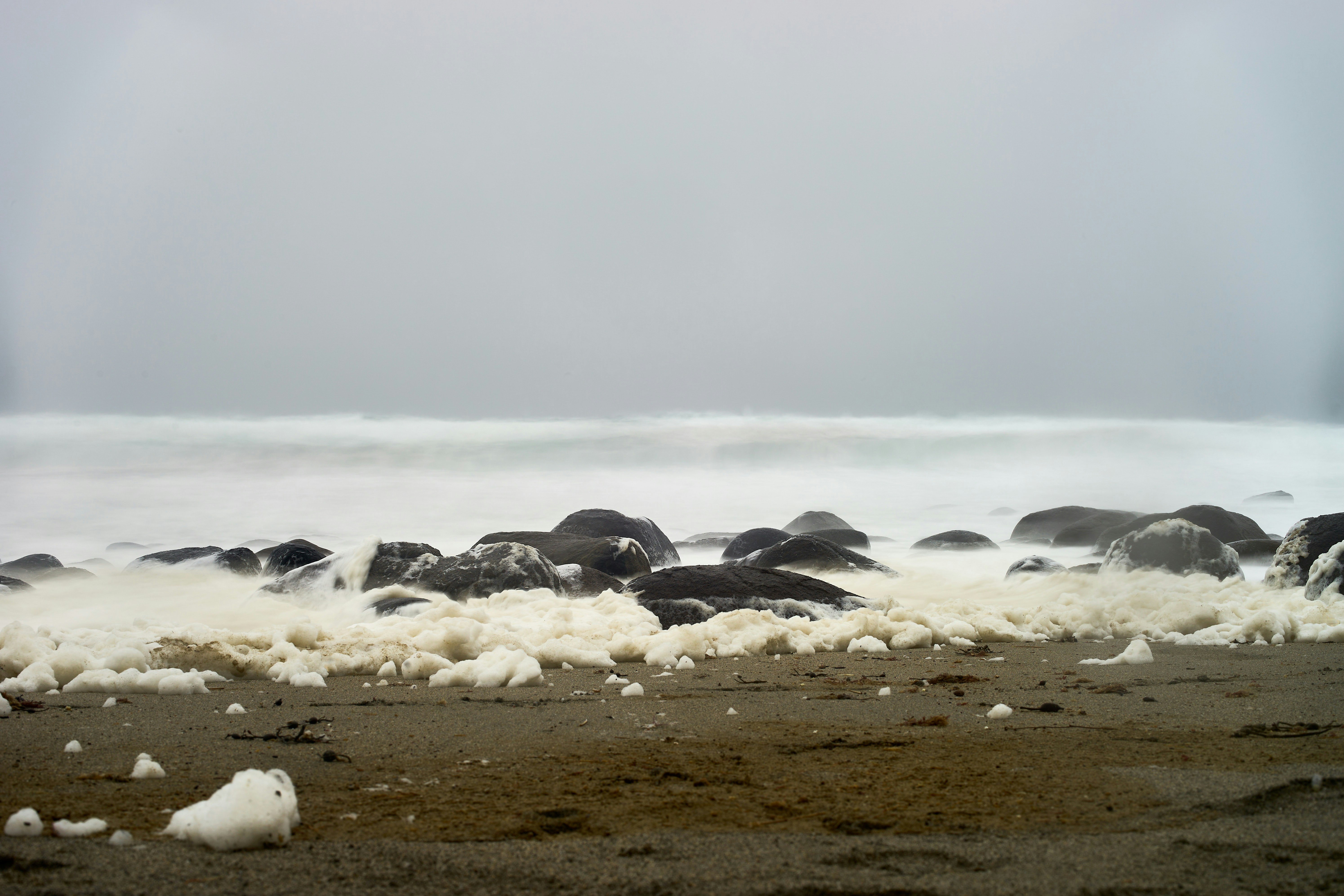 Whispers of the Ocean's Edge
