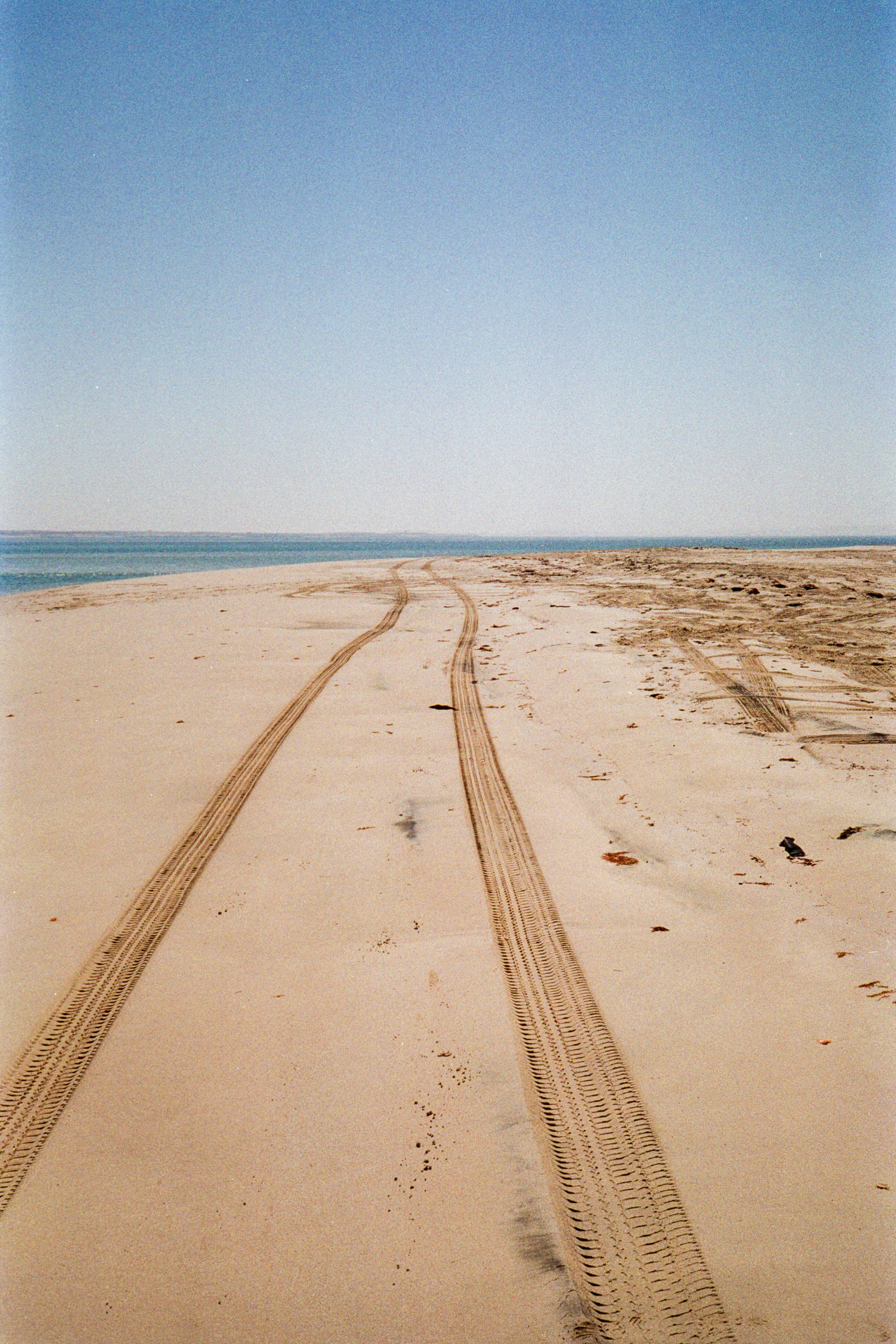 Tire tracks leading across a sandy beach towards the ocean, with a clear blue sky above. The scene evokes a sense of exploration and freedom.