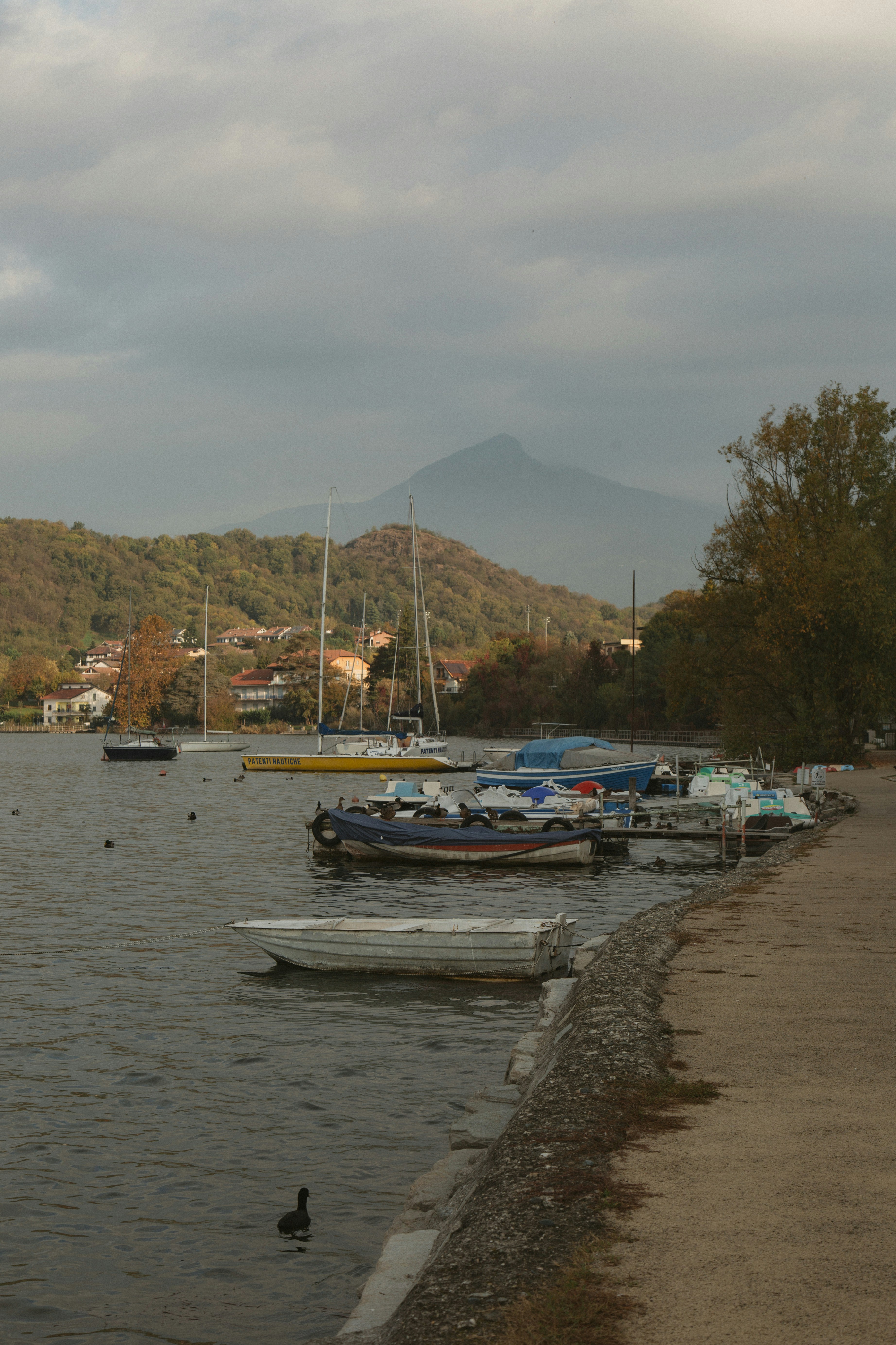 Serenity by the Water's Edge