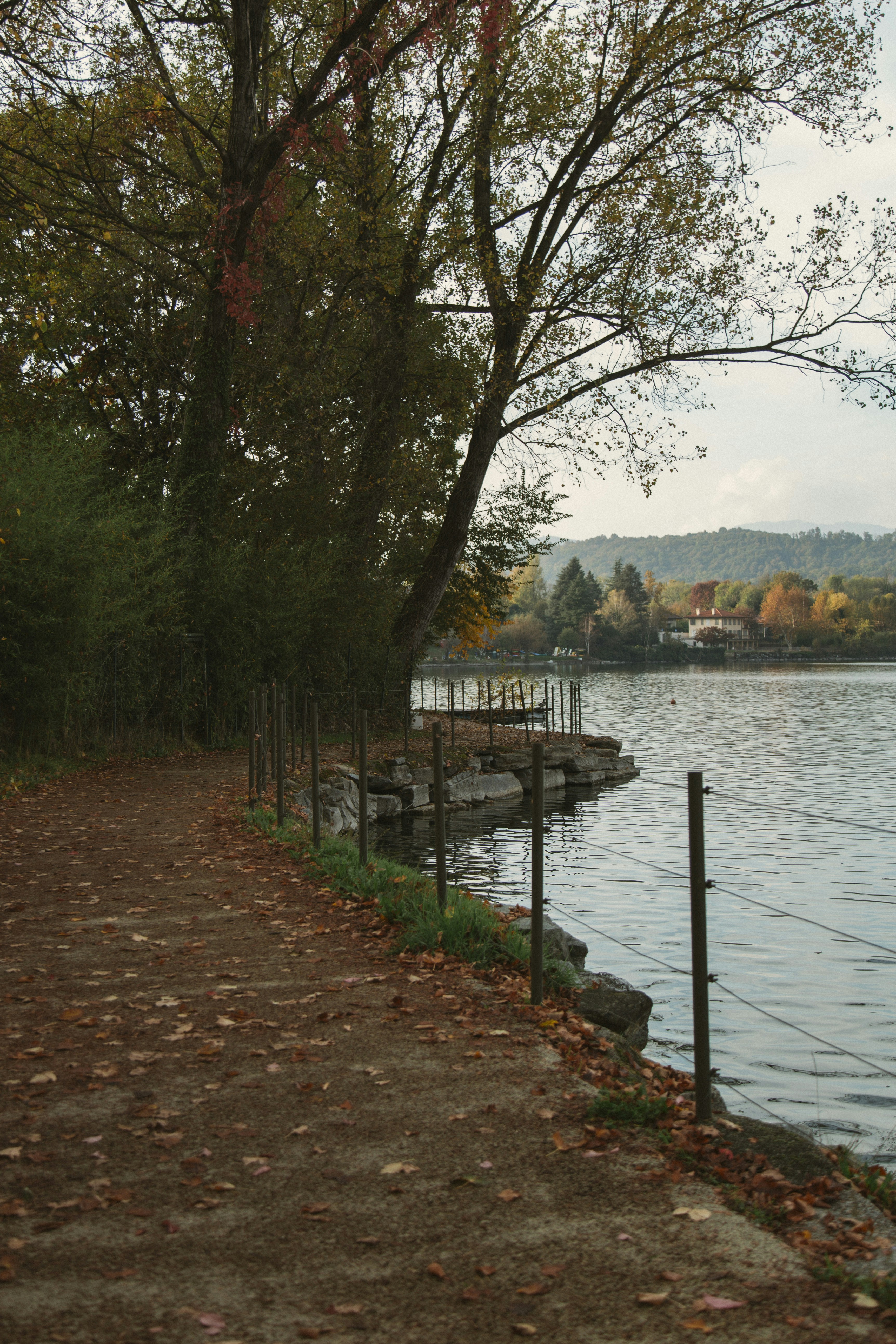 Whispers of Autumn by the Water's Edge