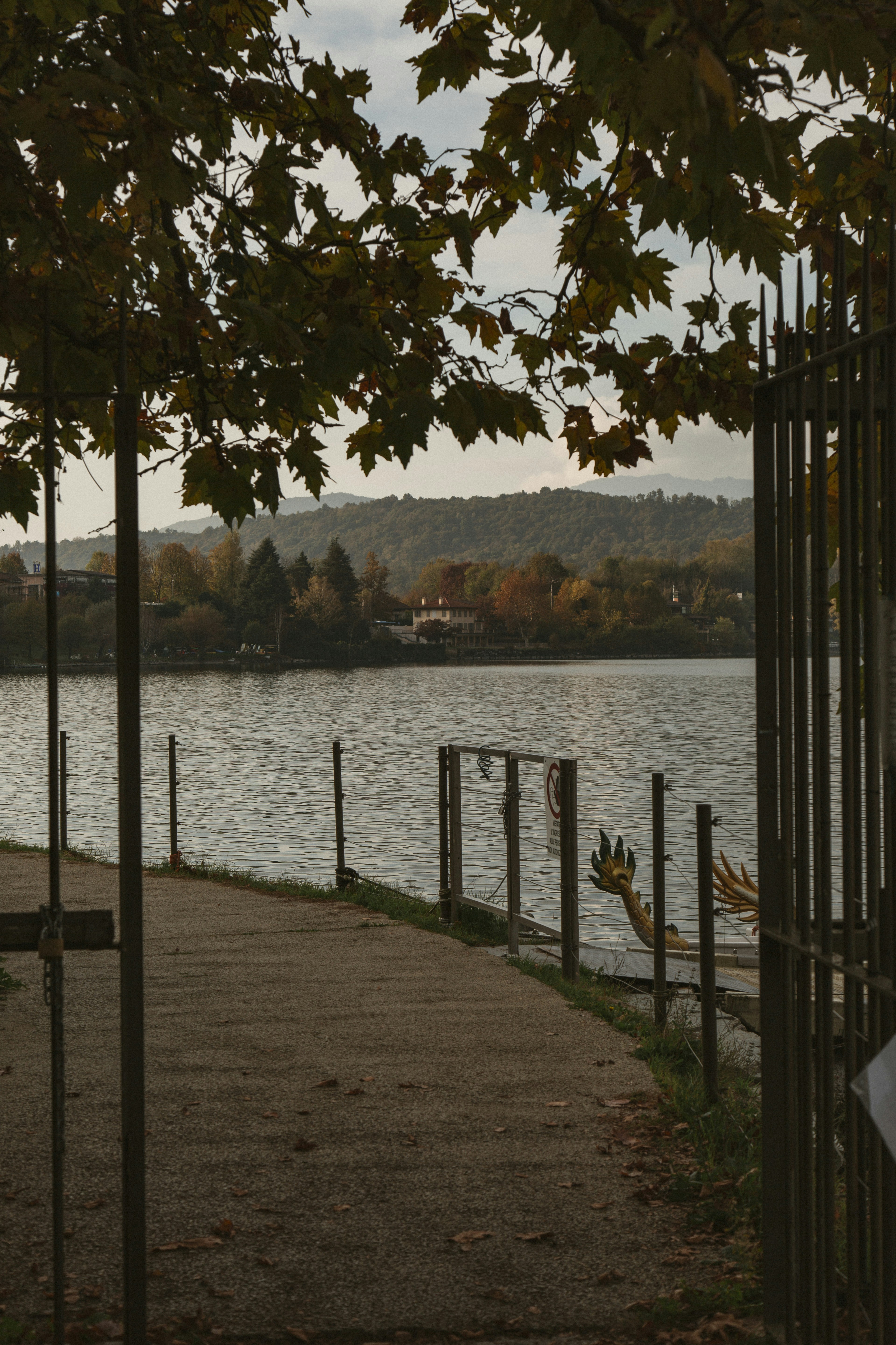Serenity by the Water's Edge