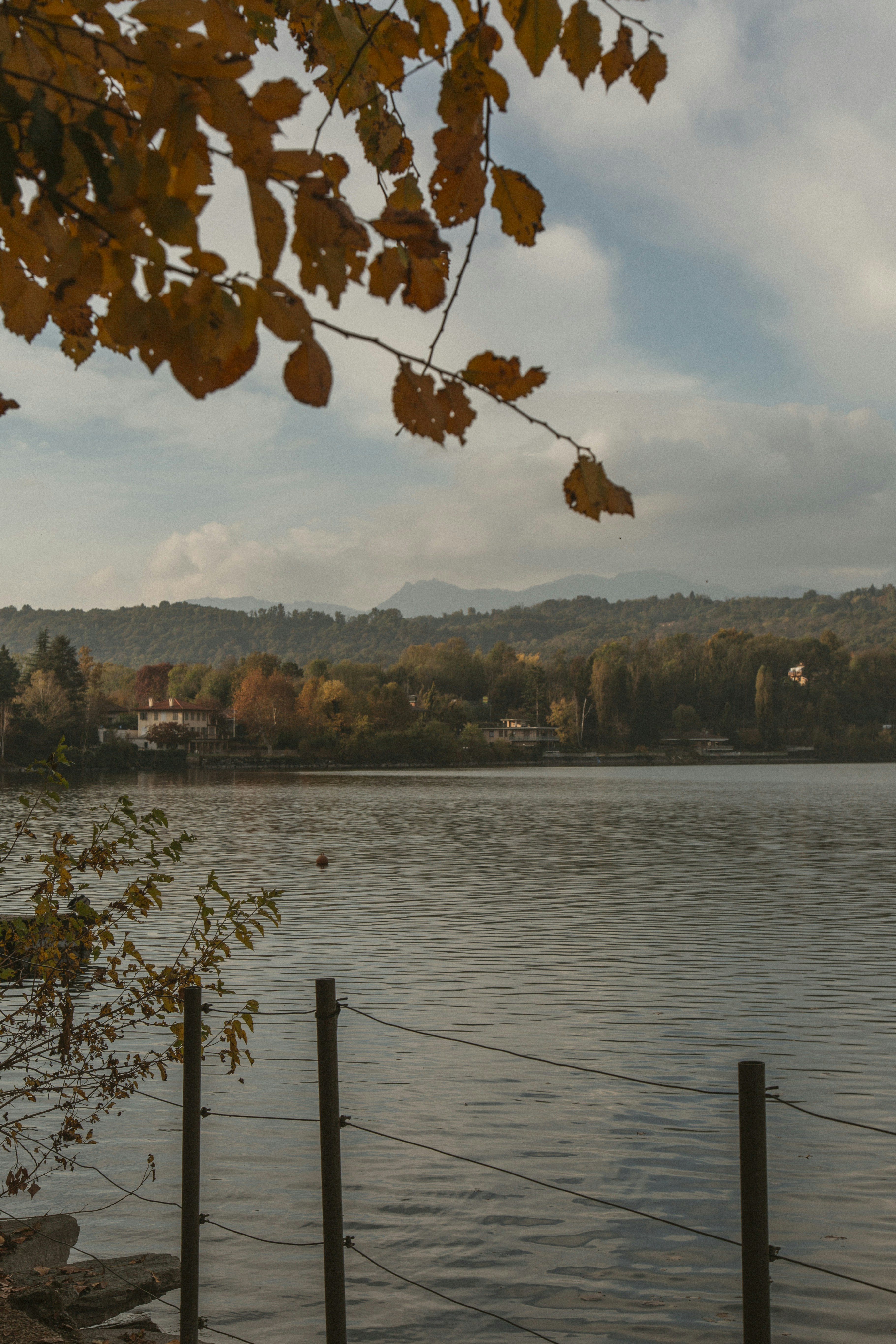 Amber Horizon over a Quiet Lakeside: Leaves Framing the Distant Shore