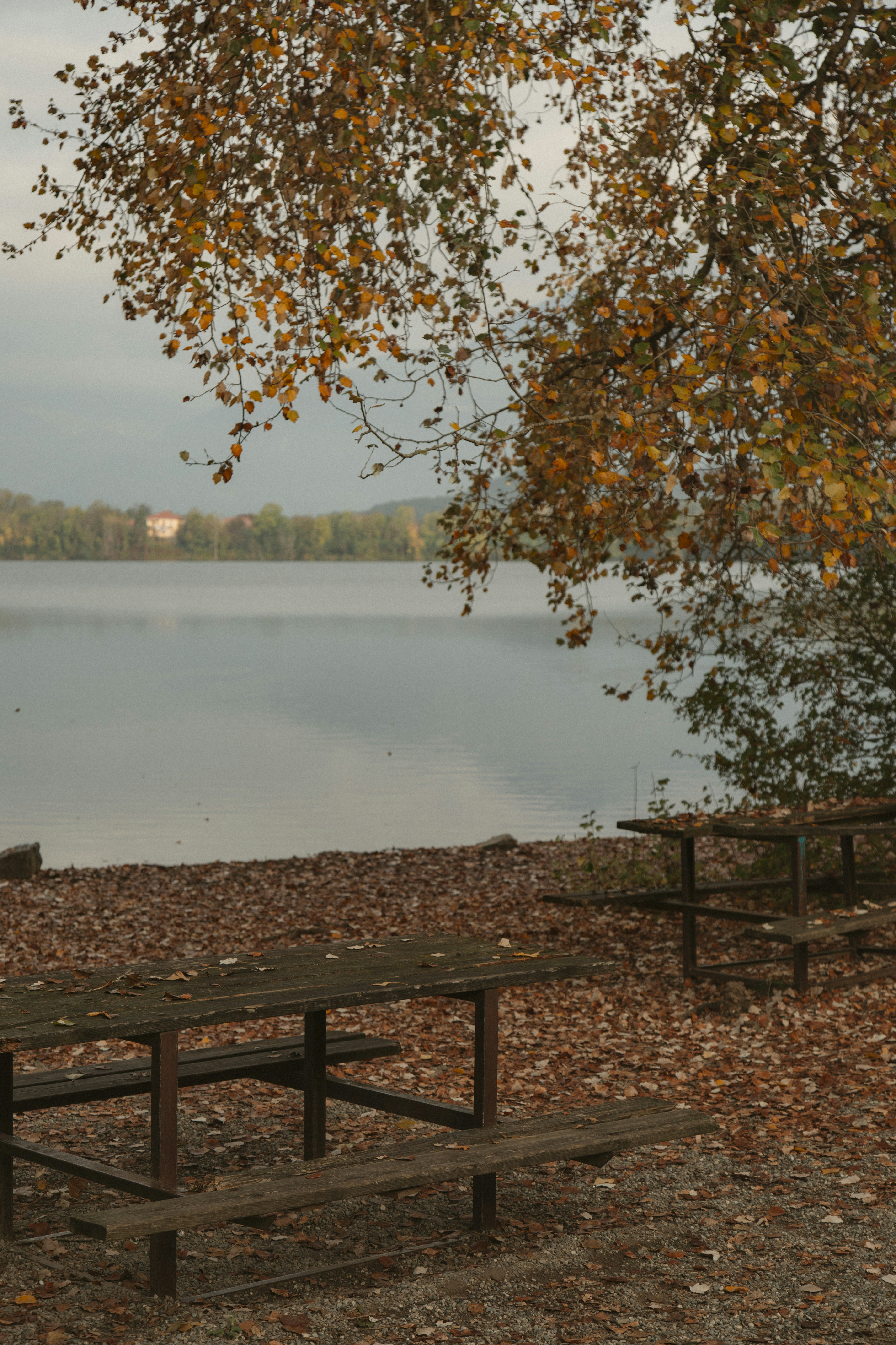 Autumn Serenity by the Lakeside