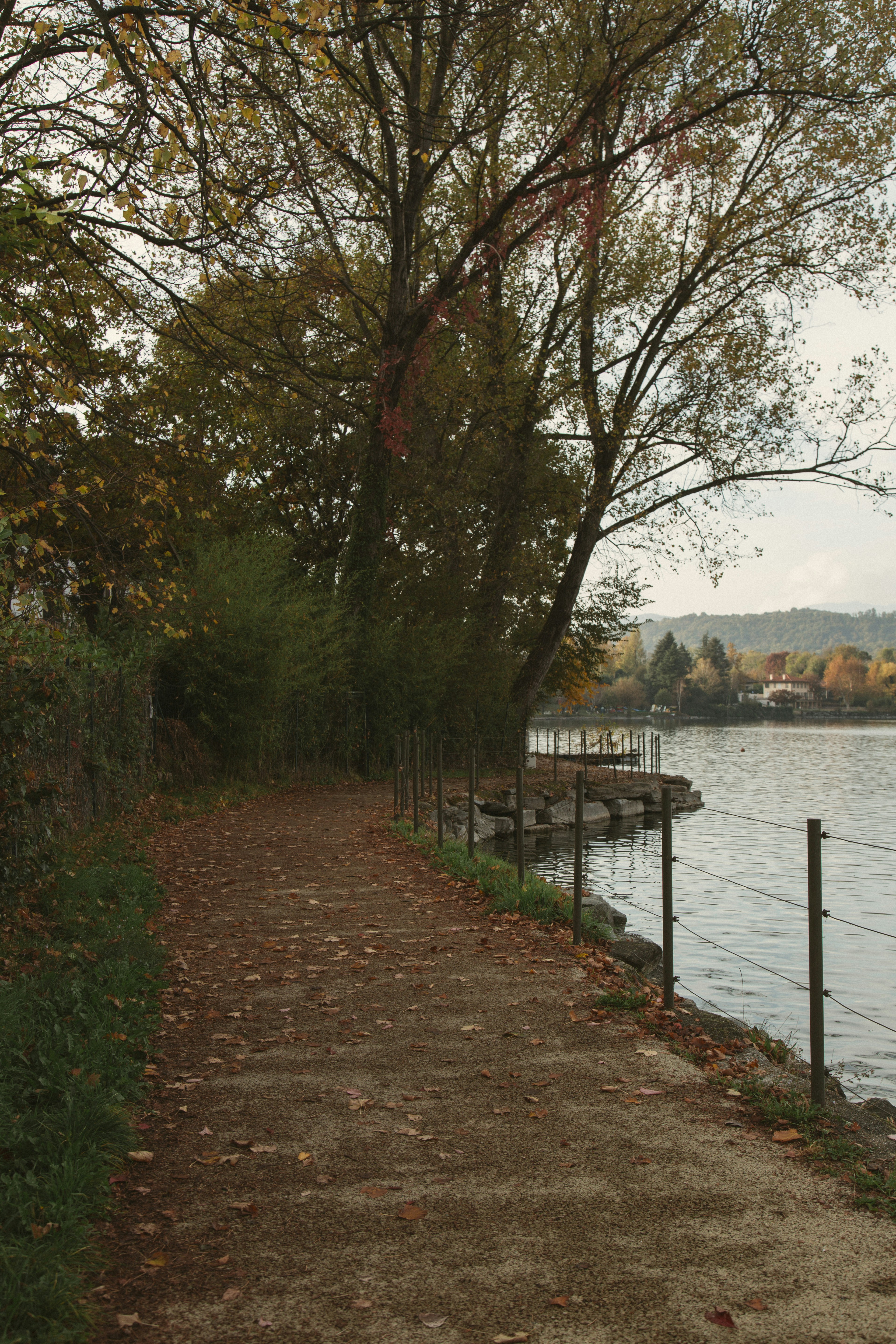 Autumn Riverside Path: Leaves, Docks, and a Quiet Lake