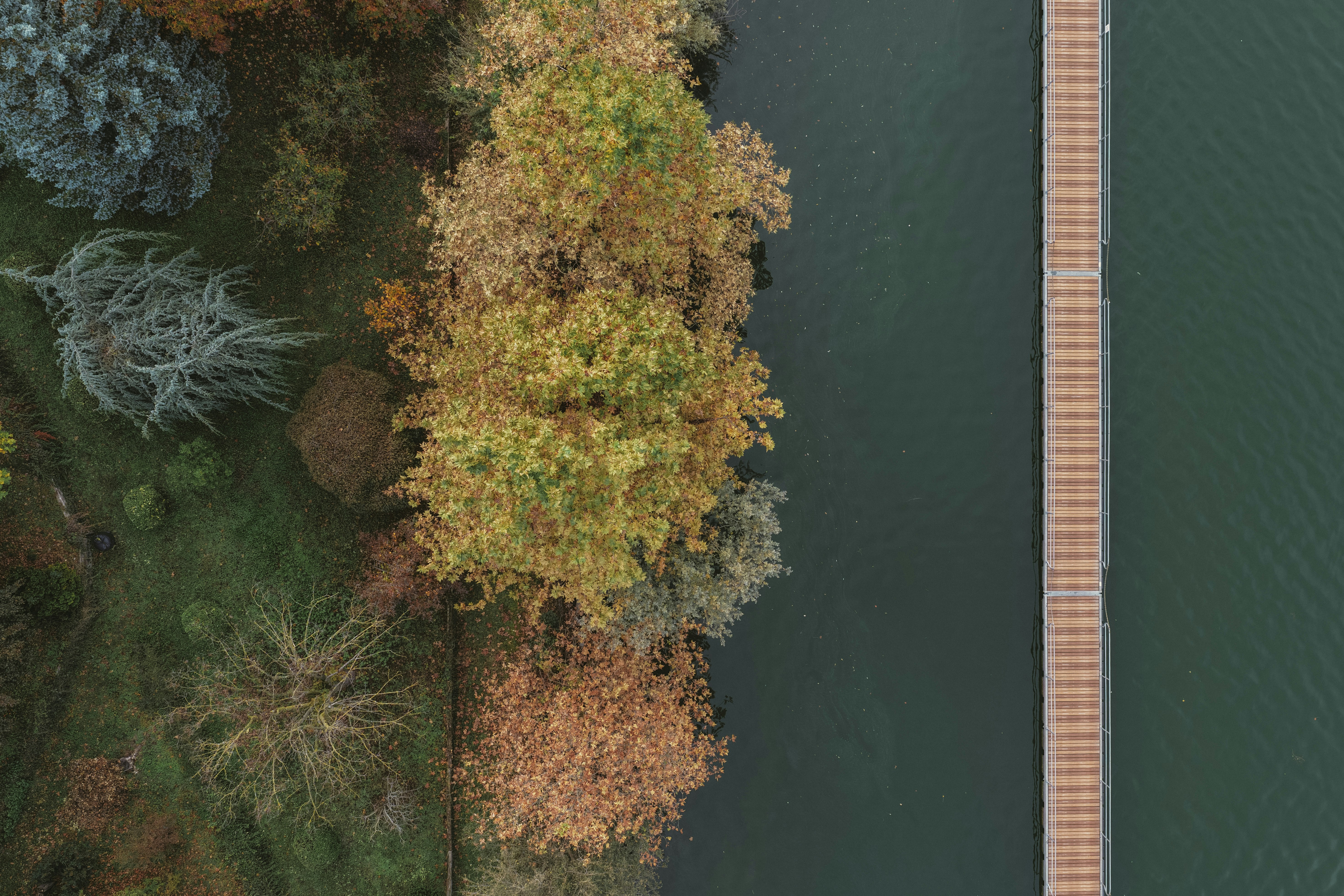 Hello =) Follow my journey on insta: I_am_simoesse | Wooden pier next to colorful autumn trees by water
