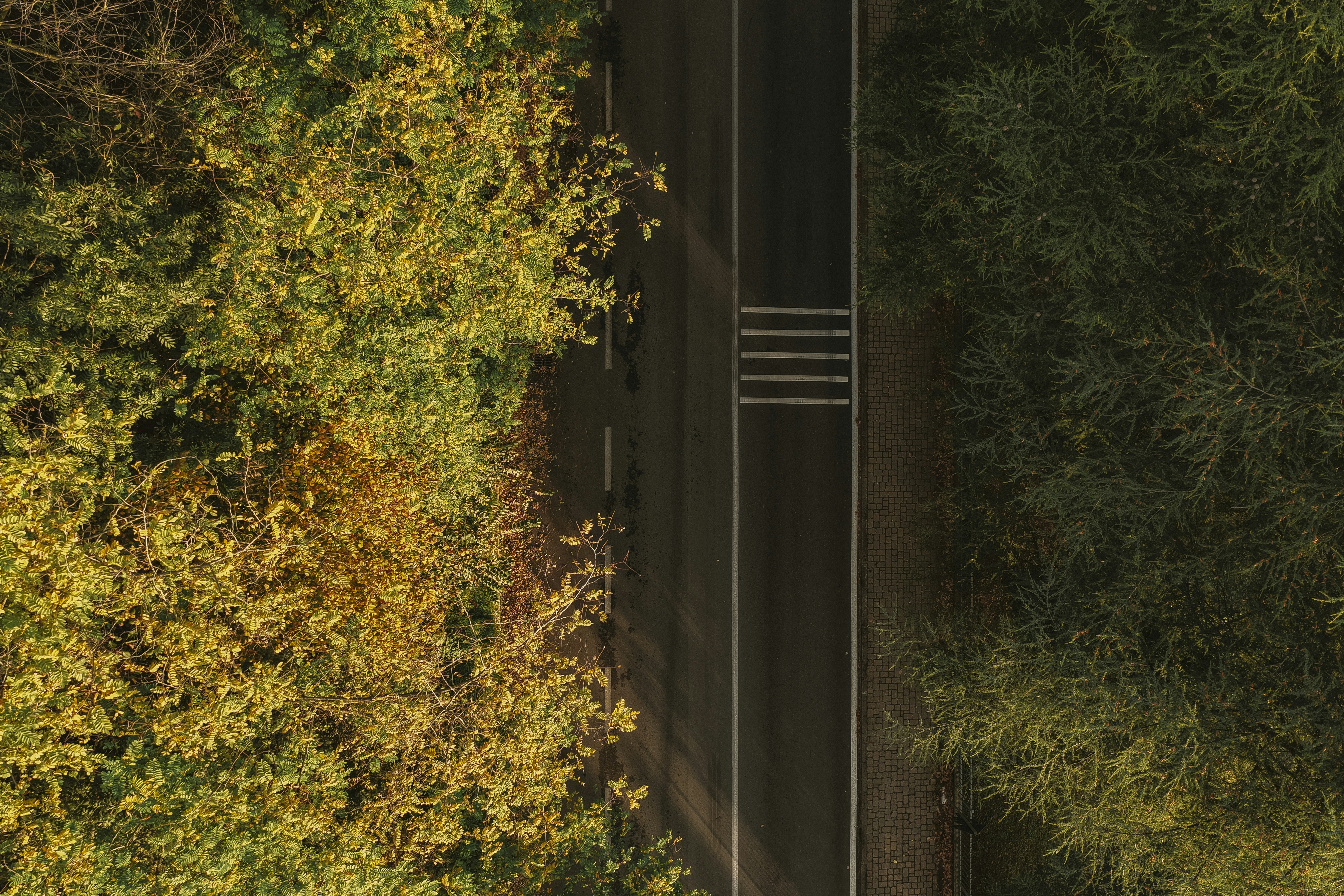Hello =) Follow my journey on insta: I_am_simoesse | Aerial view of a road through autumn trees