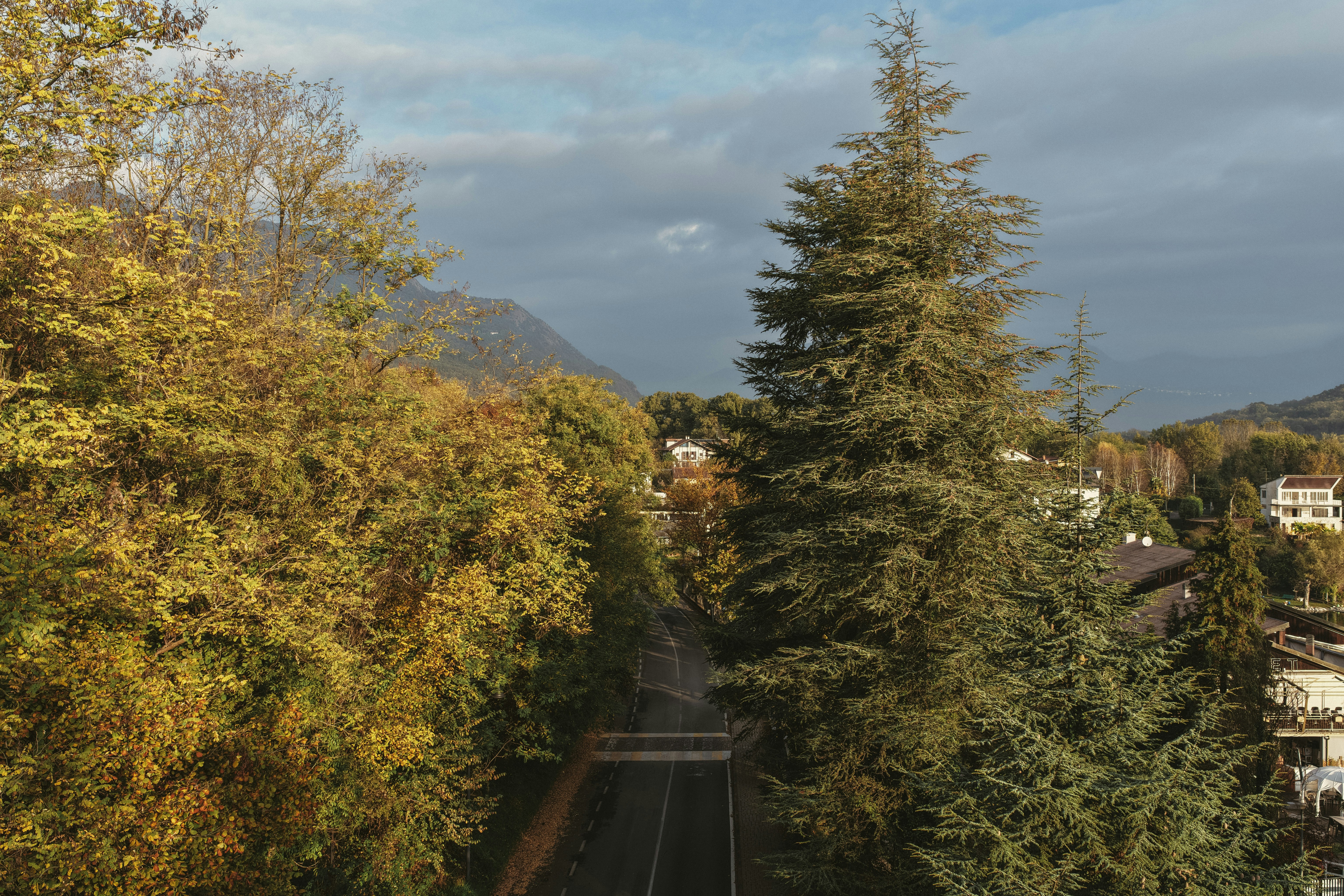 Autumn's Embrace: A Serene Roadway Through Nature