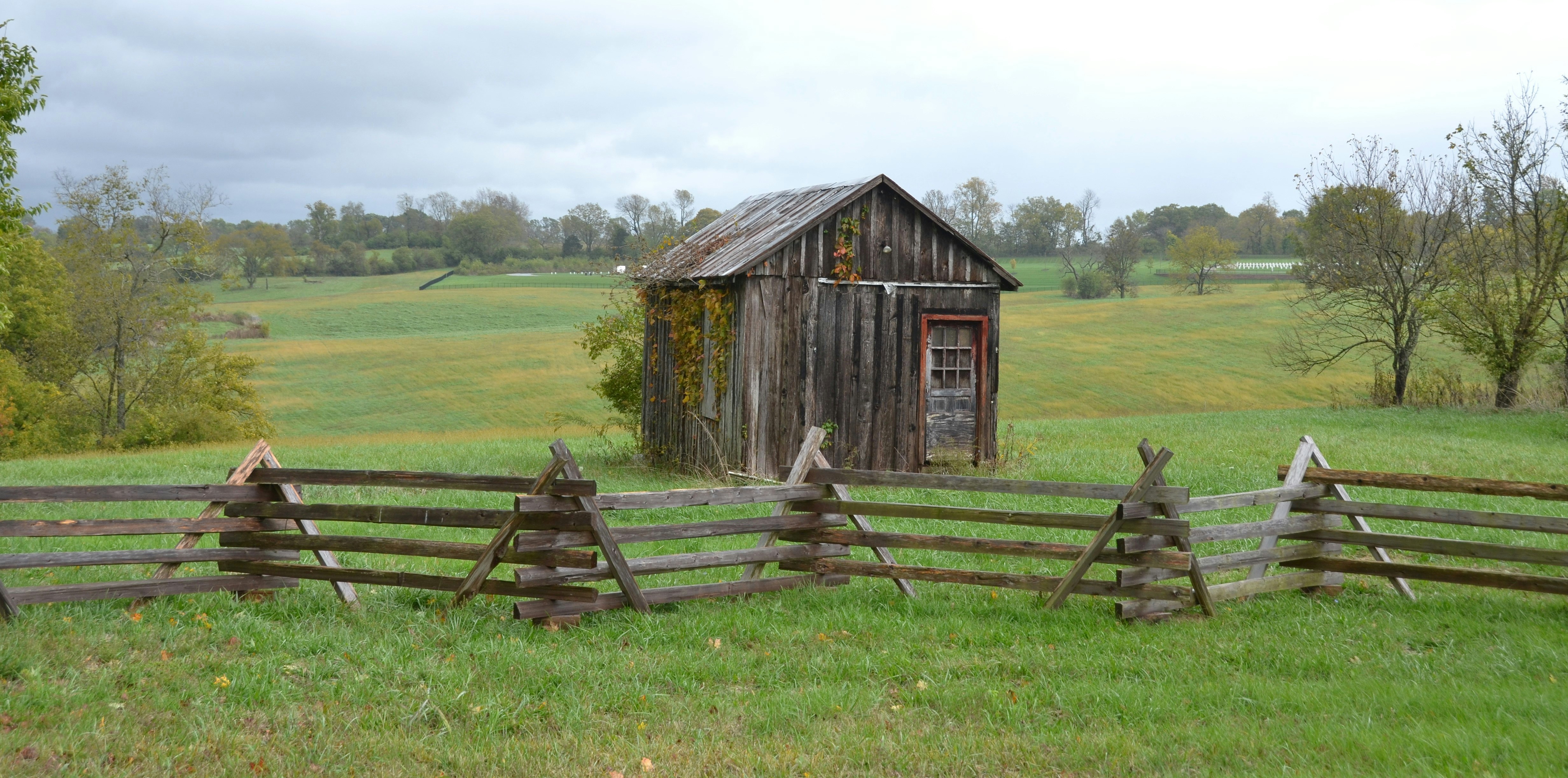 Whispers of a Forgotten Homestead