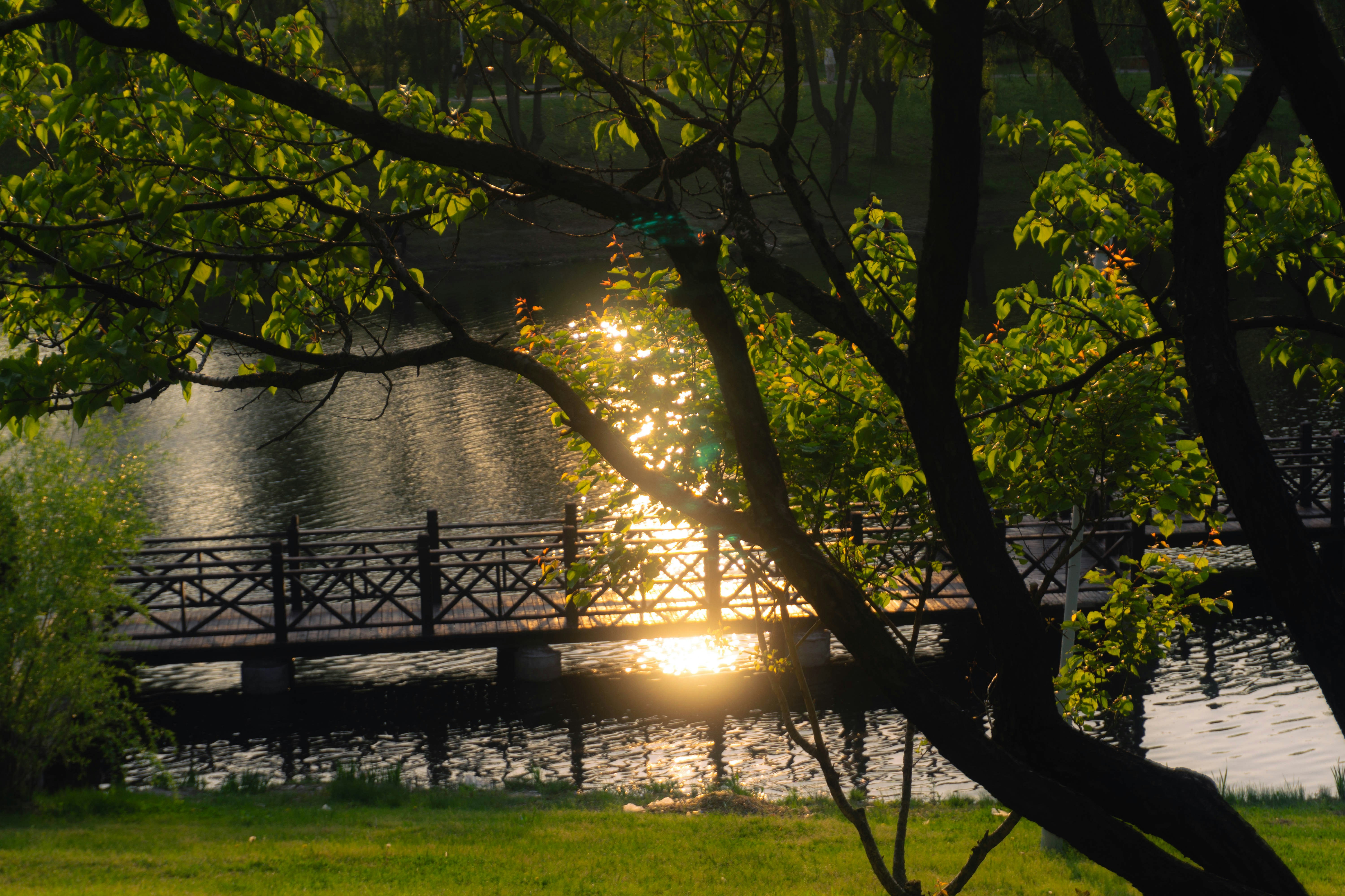 Reflections of Serenity: A Tranquil Waterscape
