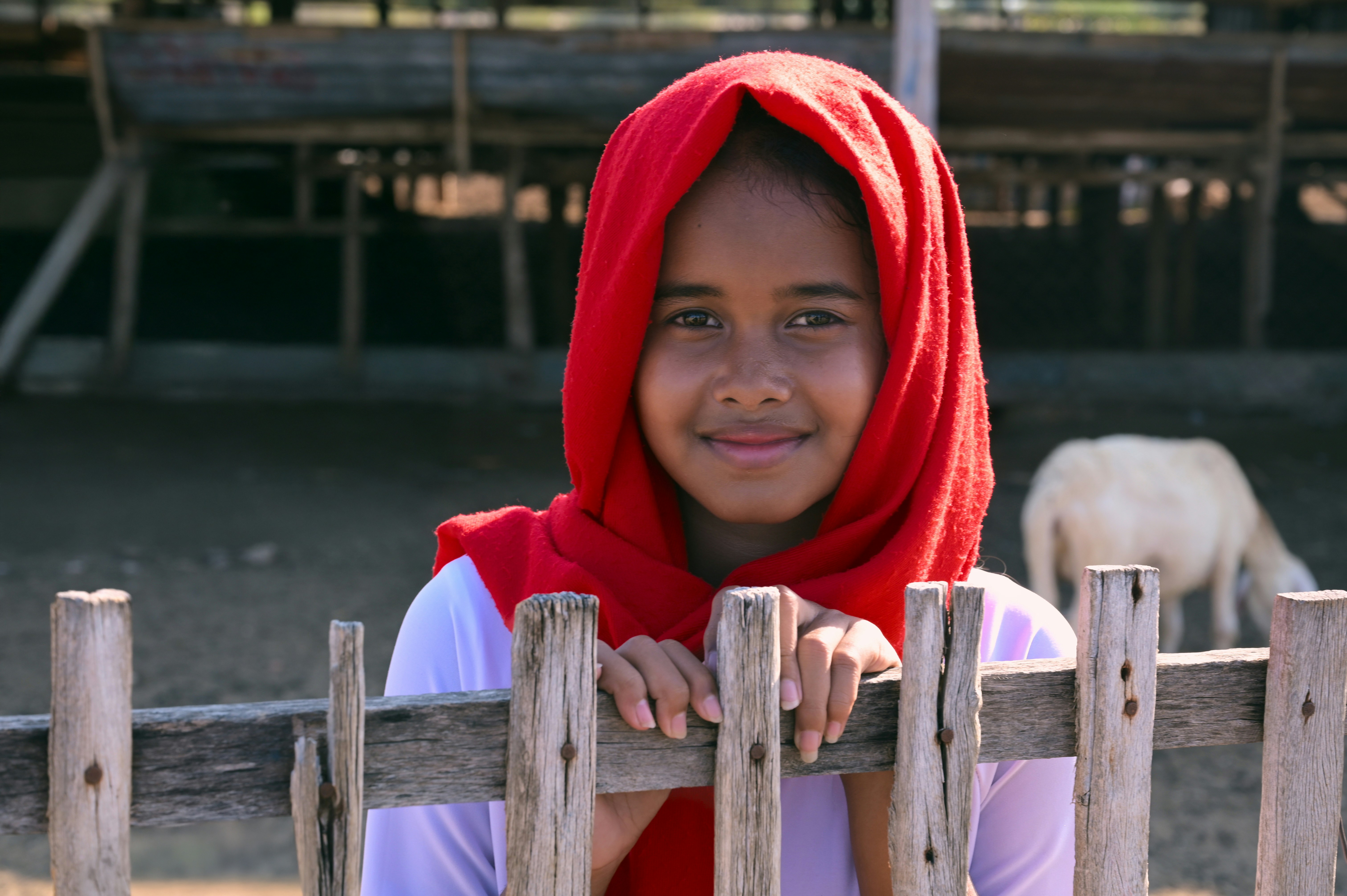 The Khmer little girl - can’t stop looking at her, how charming, simple and cute she is. | Young girl in red headscarf smiles behind wooden fence