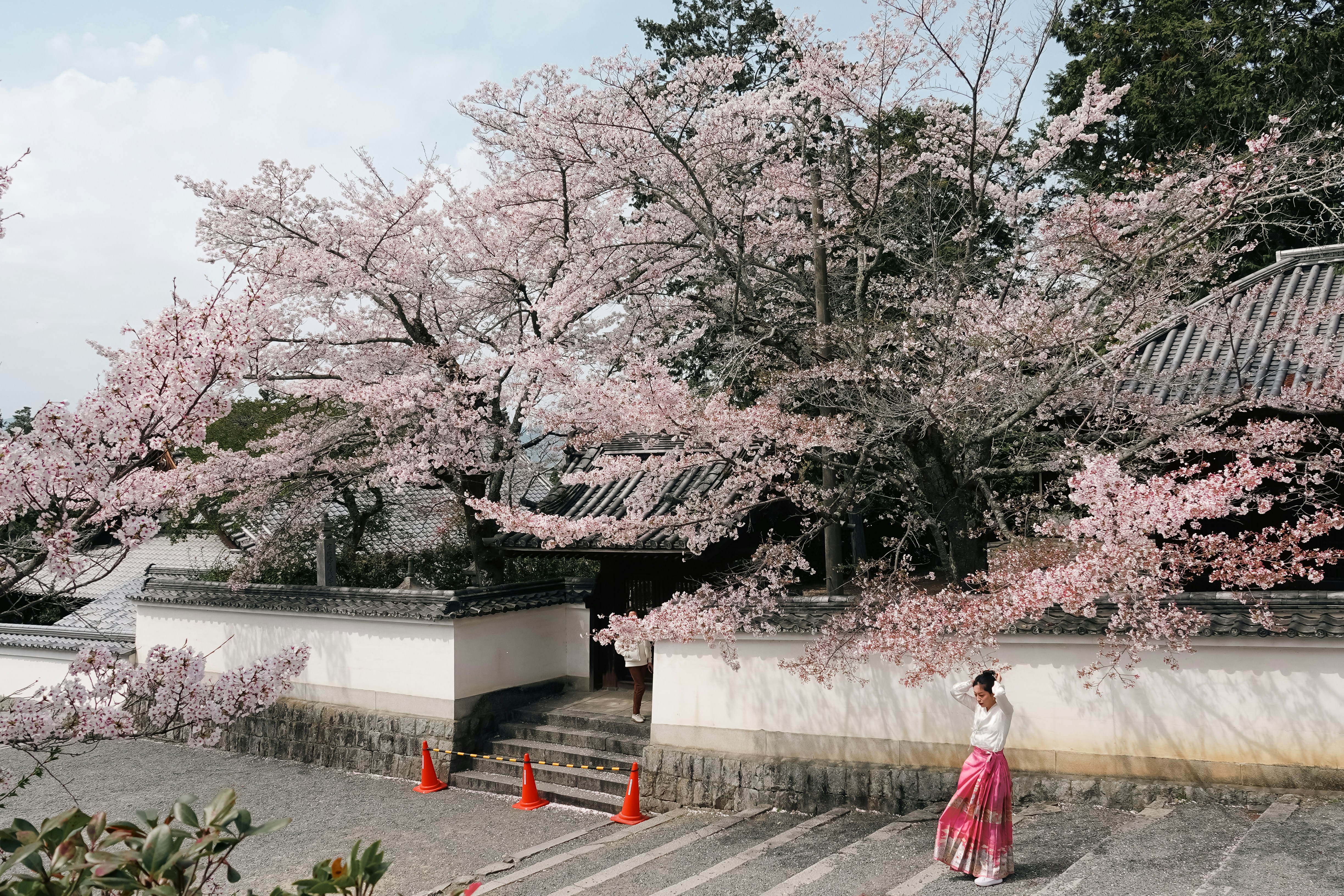 Photo by Nathalie Lays with Sony Cyber-shot RX10 IV