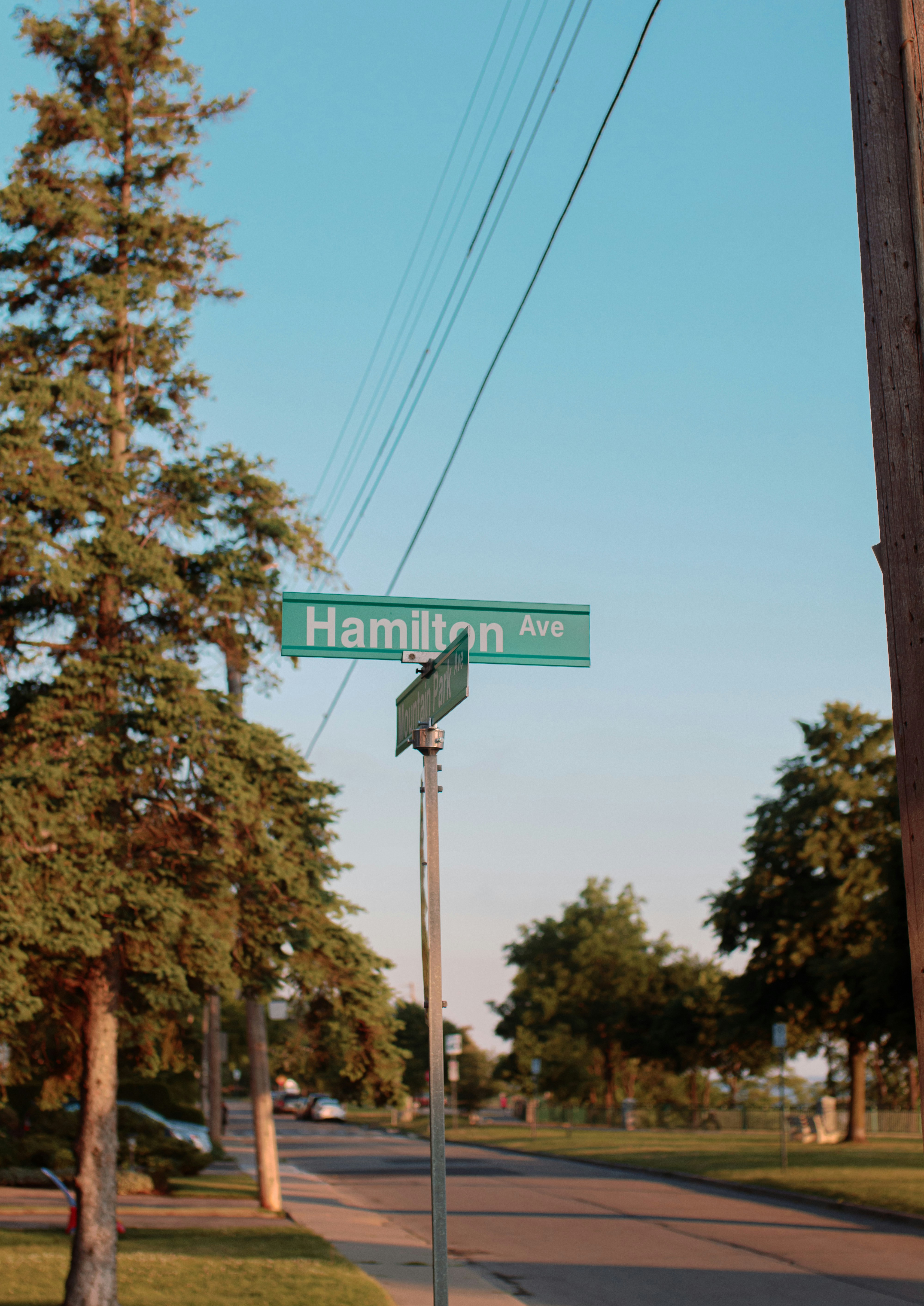 Hamilton Avenue: A Glimpse into Everyday Life