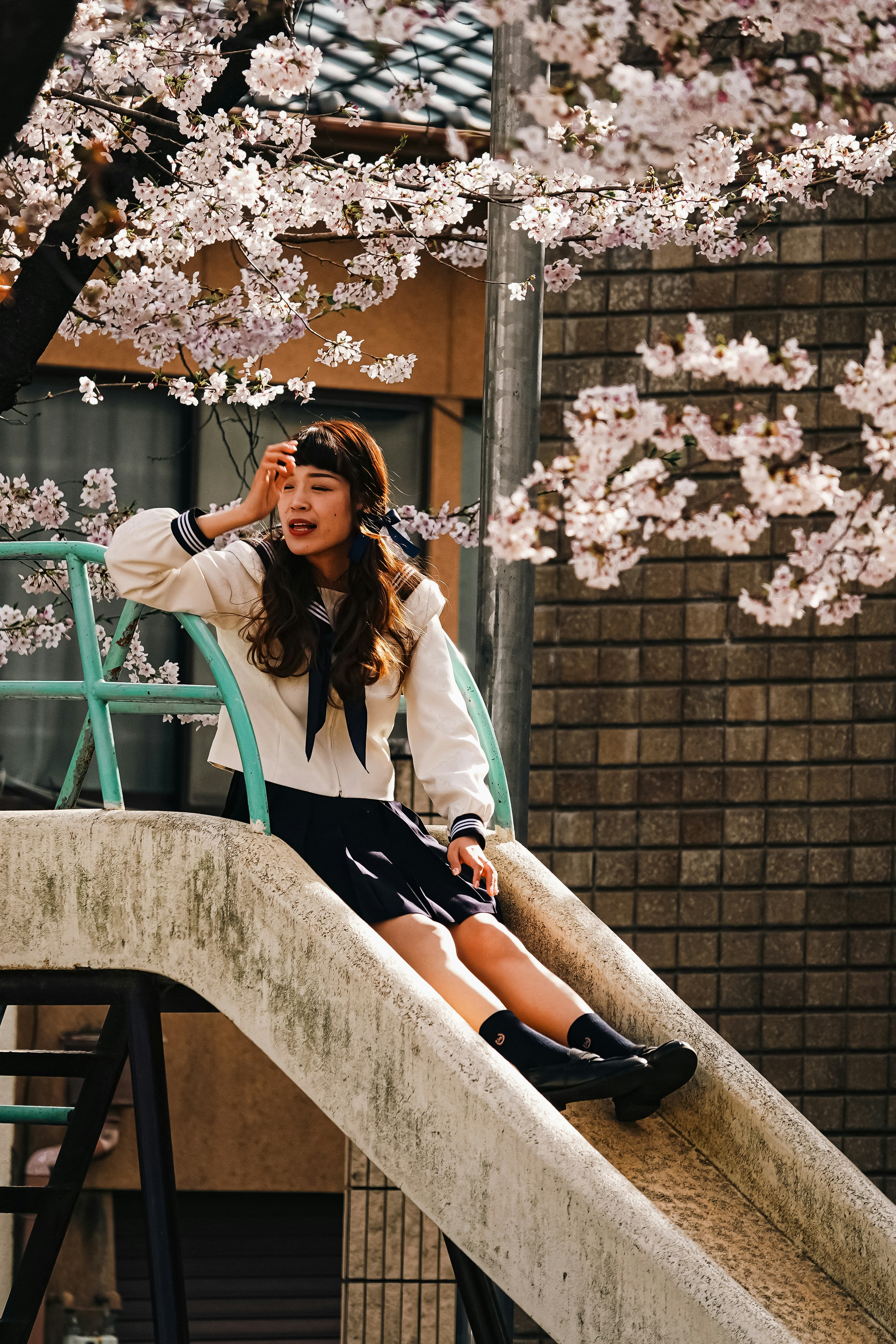 Young woman in sailor uniform under cherry blossoms
