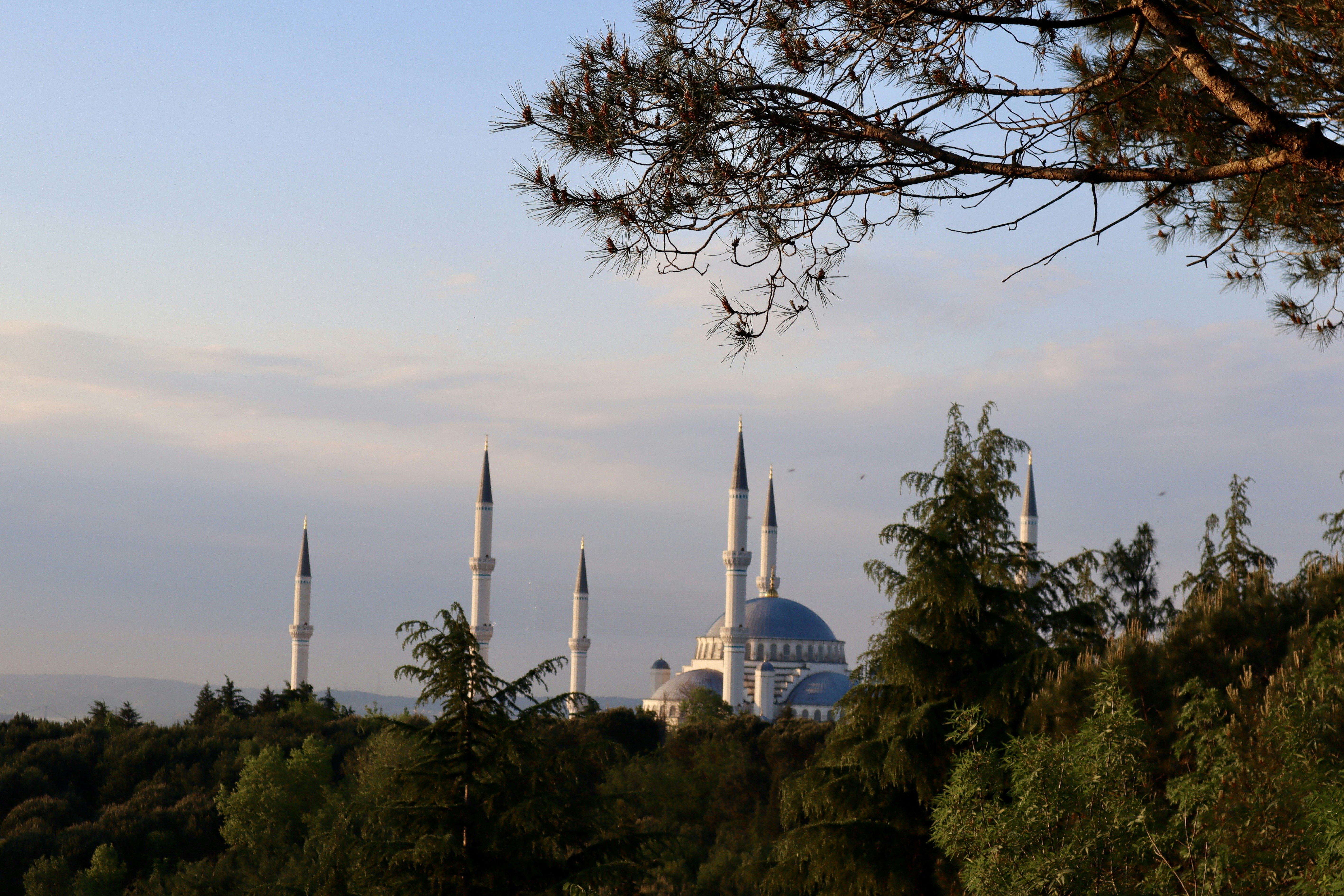 Blue Domes at Dusk: Mosque Silhouettes Rising Through the Pines