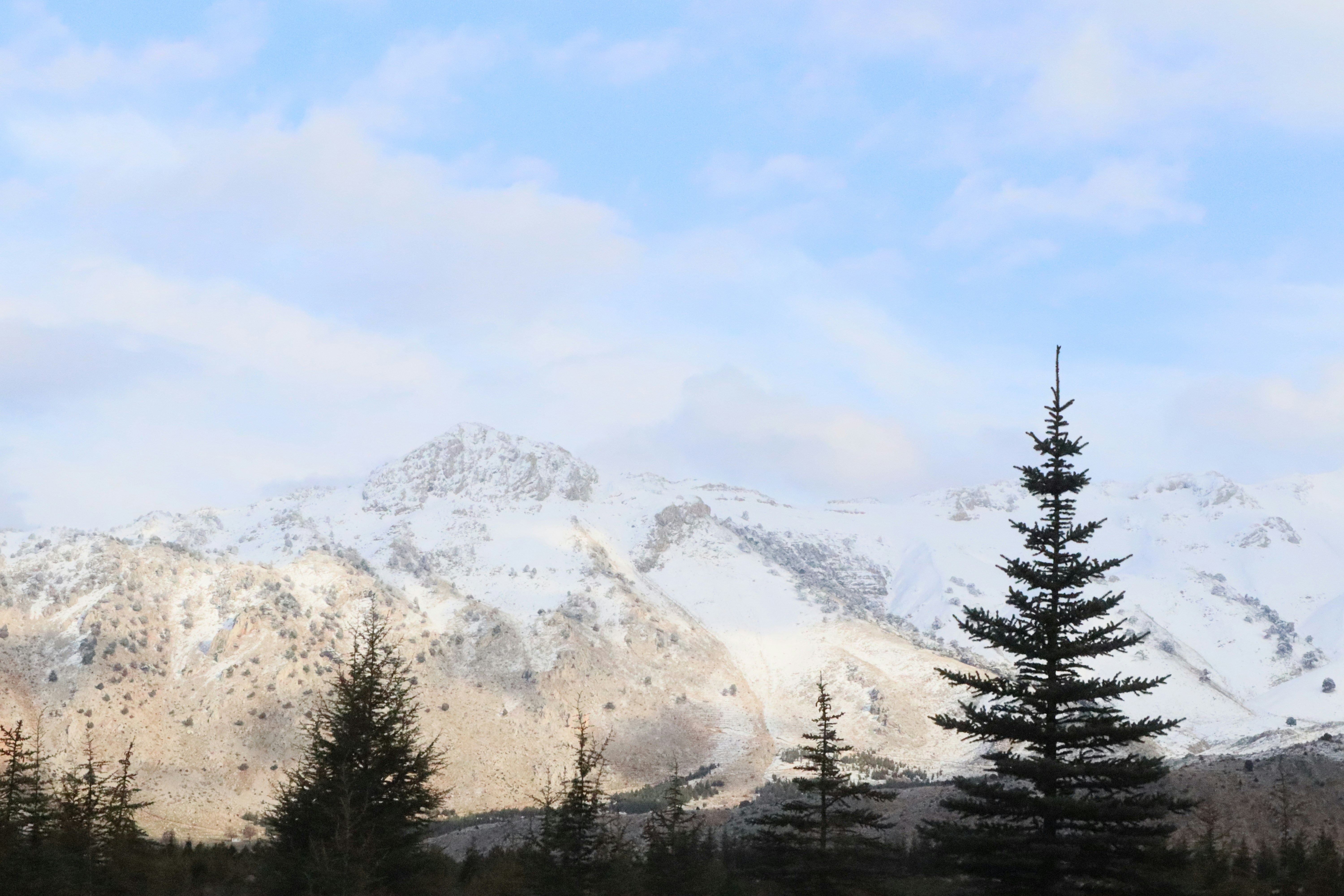 Whispers of Winter's Majesty