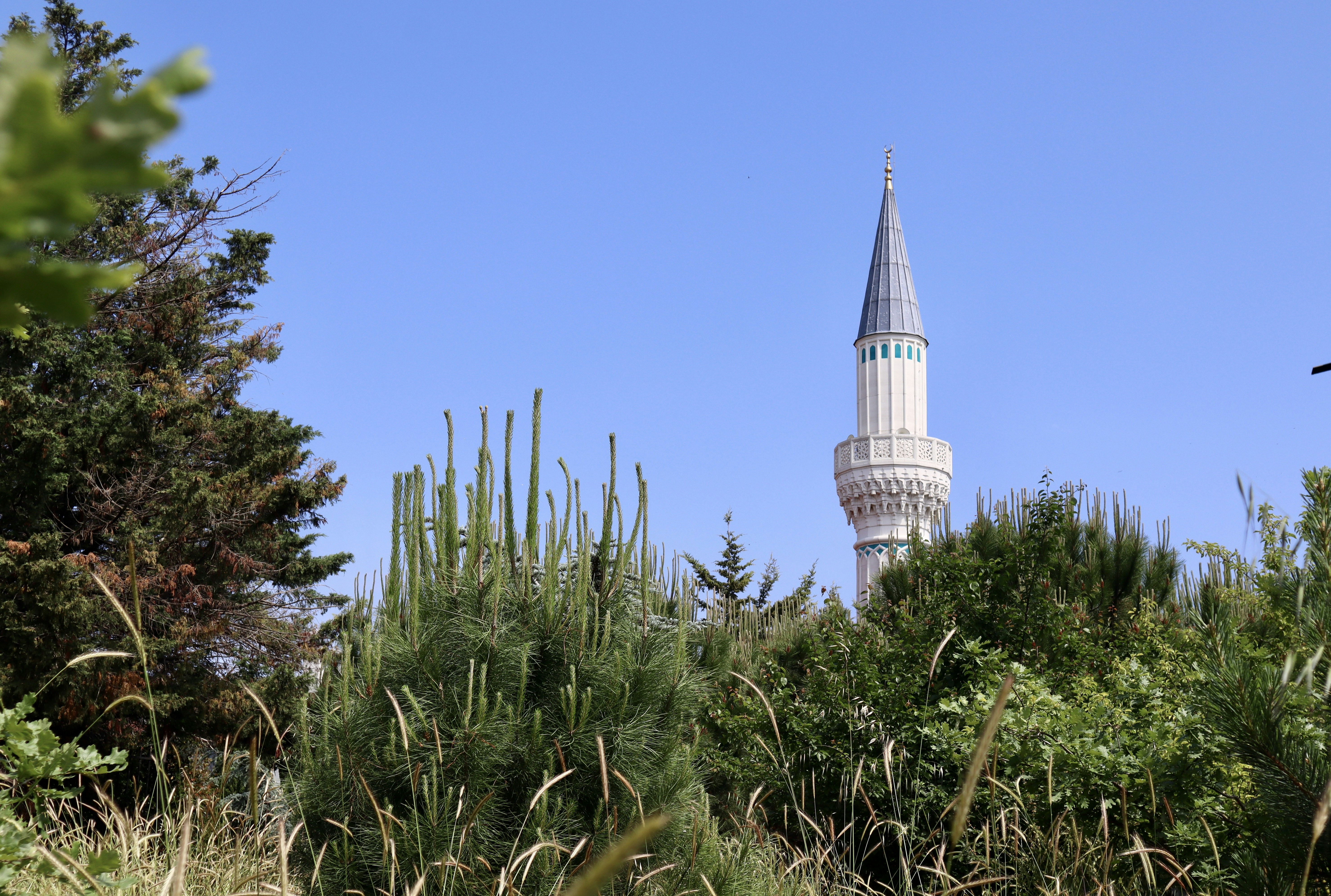 Whispers of Heritage Amidst Nature's Embrace