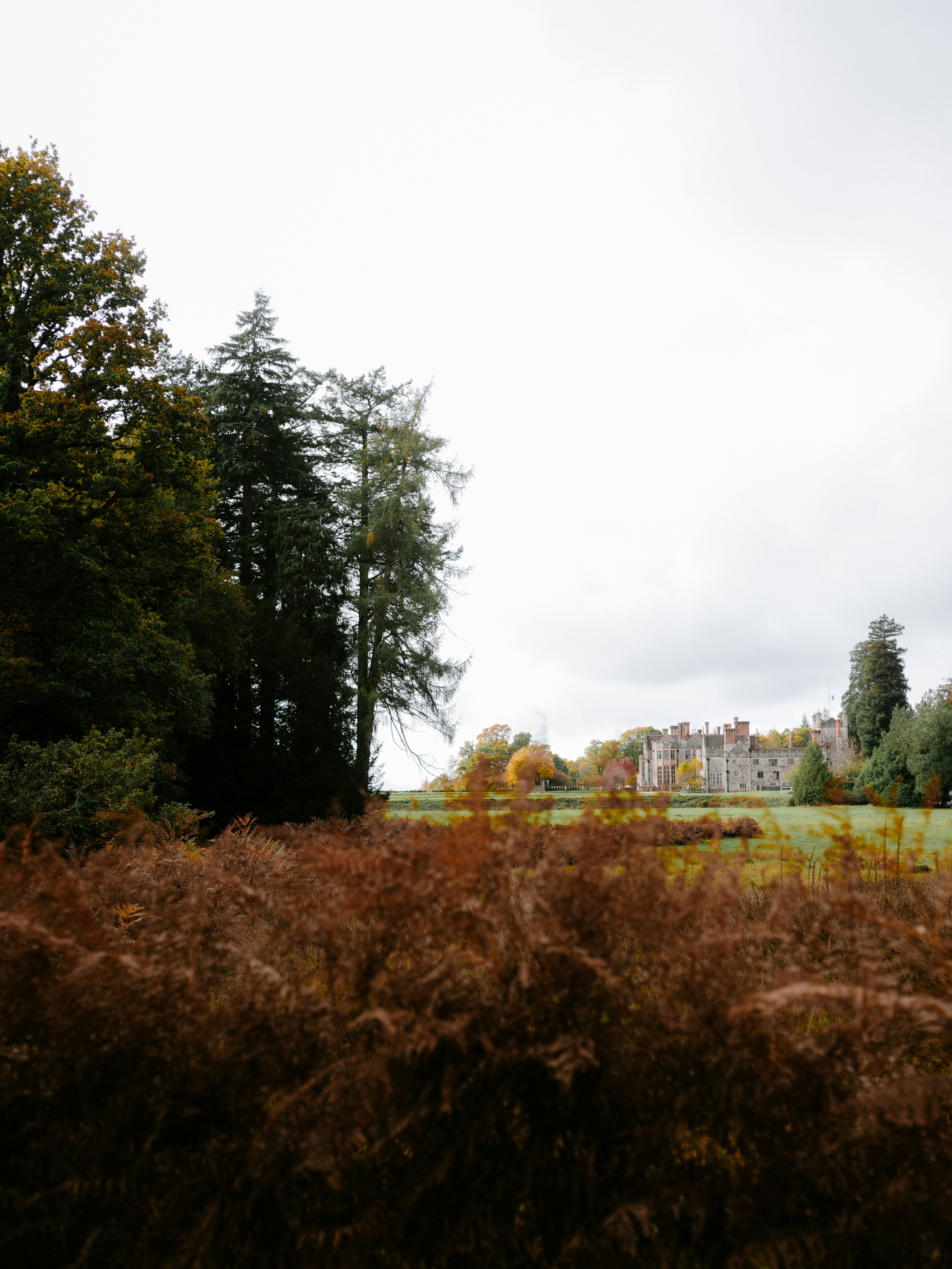 Castle in the distance surrounded by autumn trees