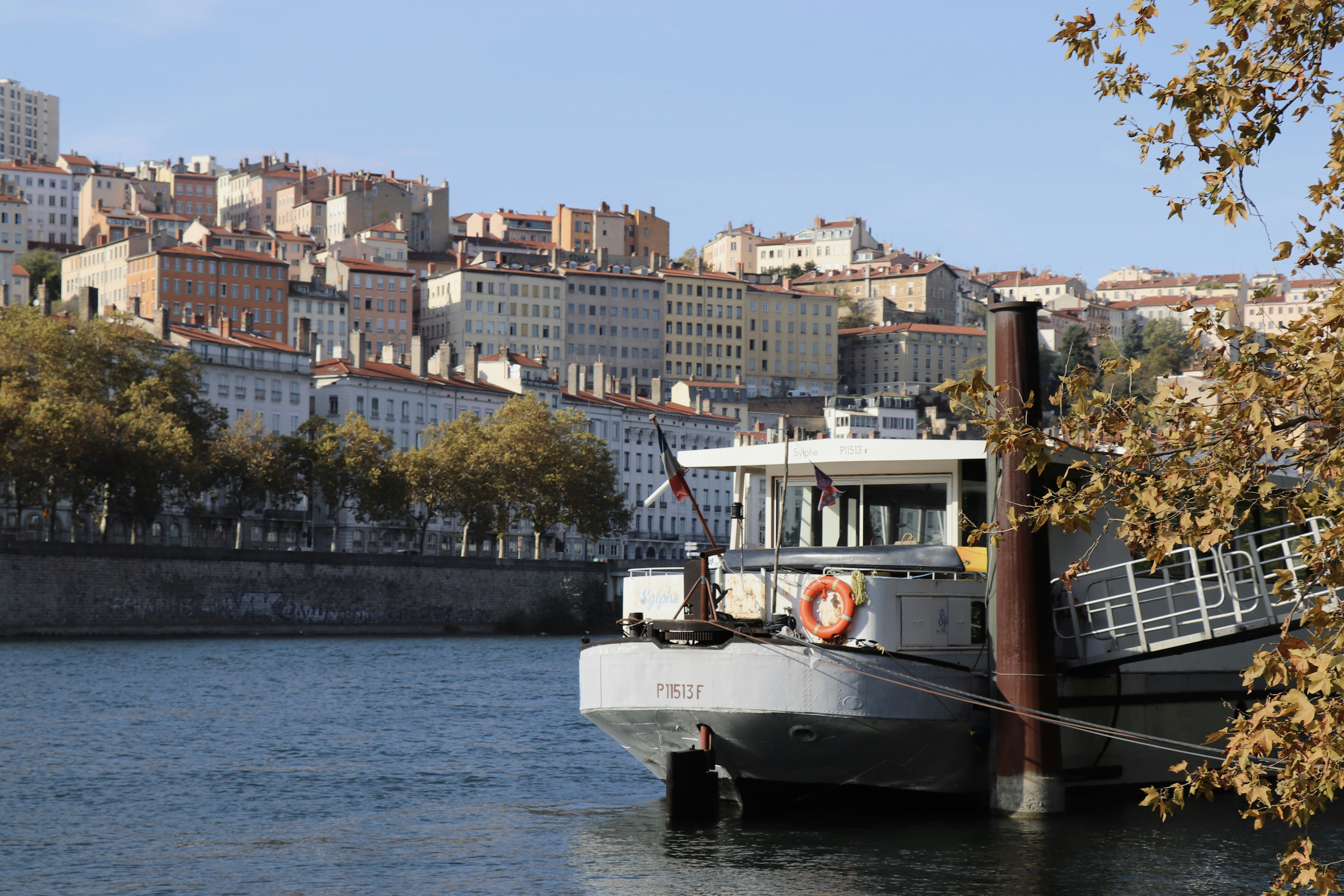 Serenity by the Riverbank: A Glimpse of Urban Tranquility