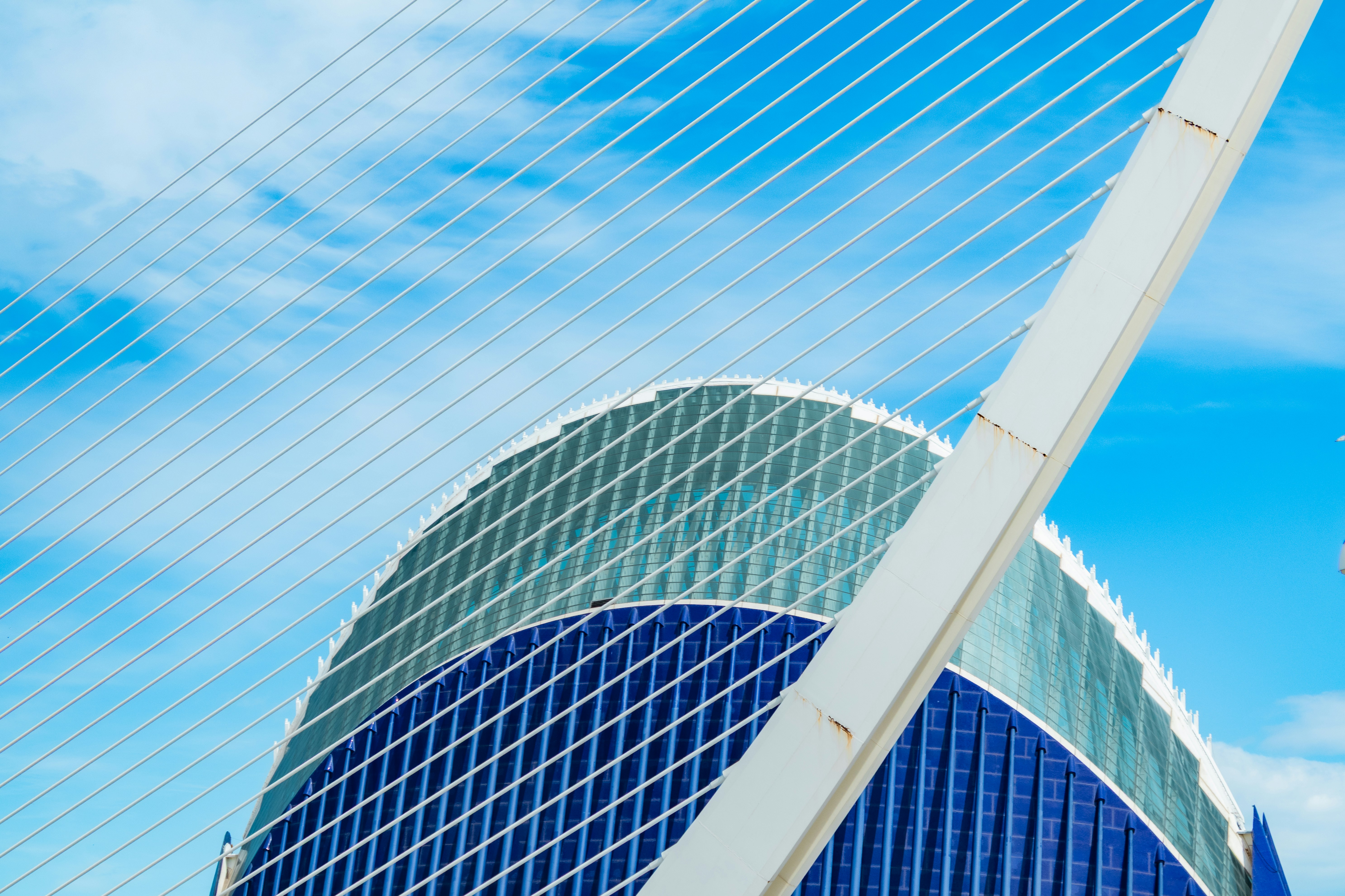 Photo by Ivan Henwood with Canon EOS R100