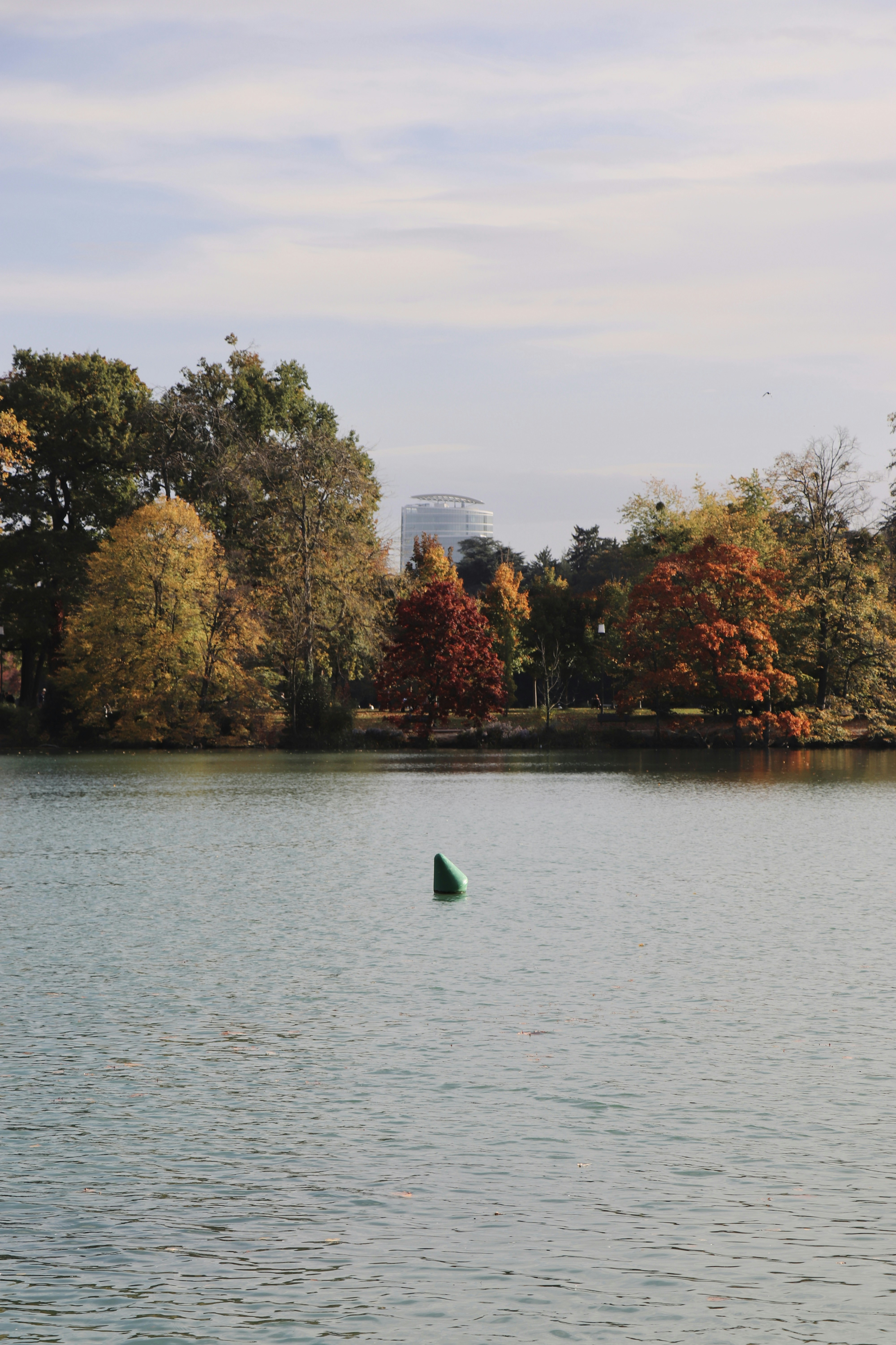 Autumn Reflections: A Serene Water's Edge