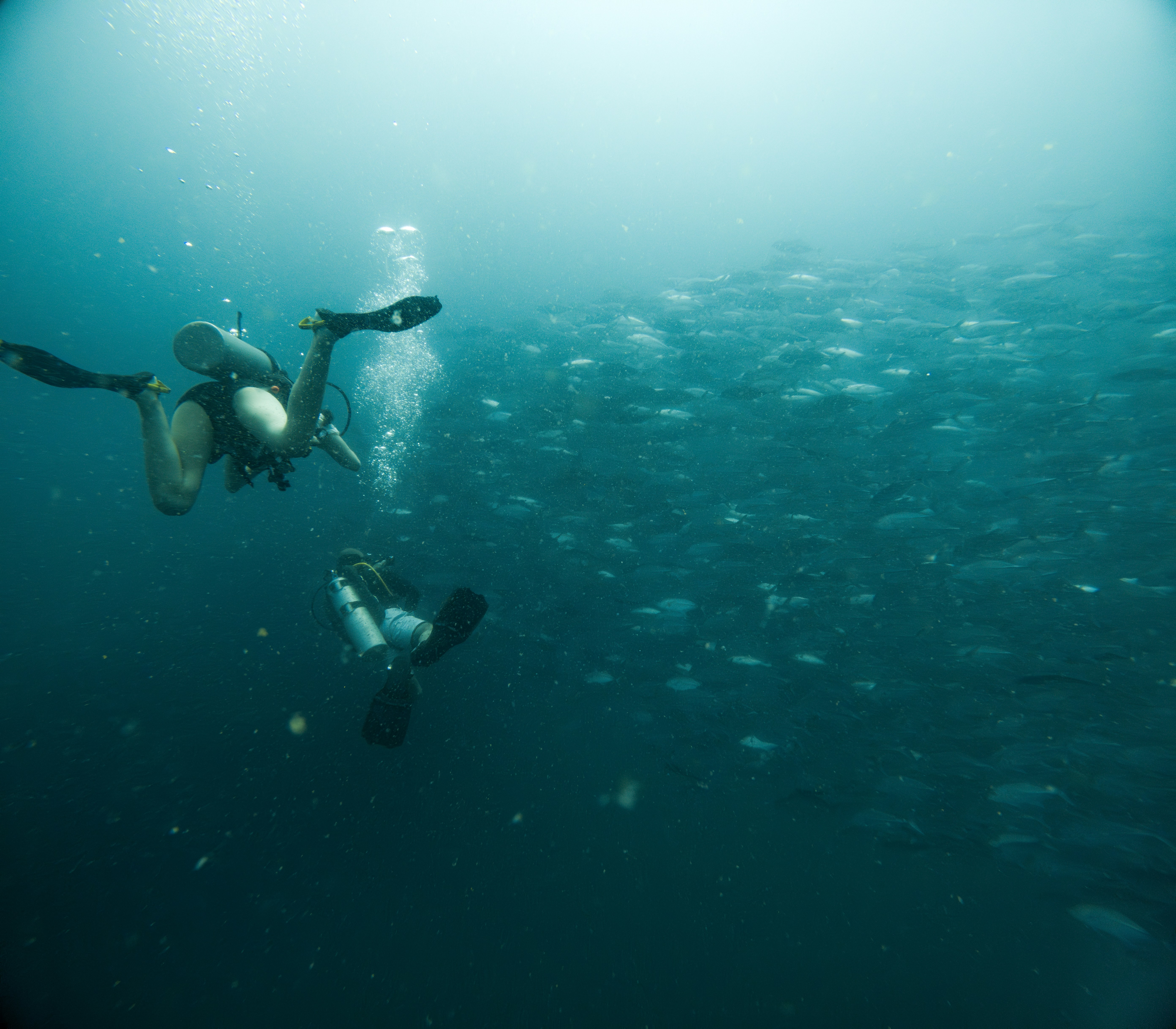 Photo by Nathanaël Desmeules with GoPro HERO11 Black