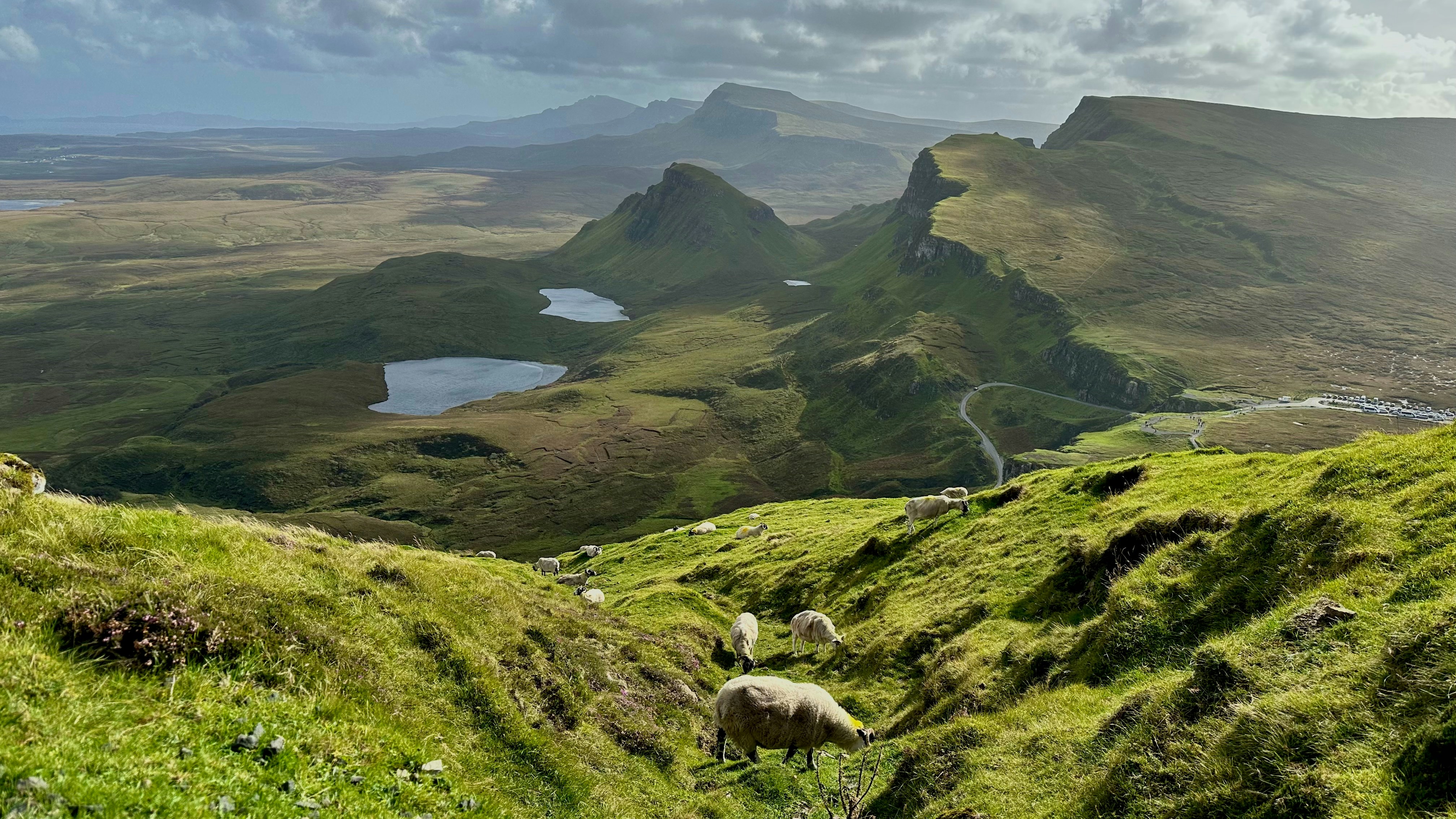 Two Sheep on a Winding Moor Ridge Under a Broad Highland Sky