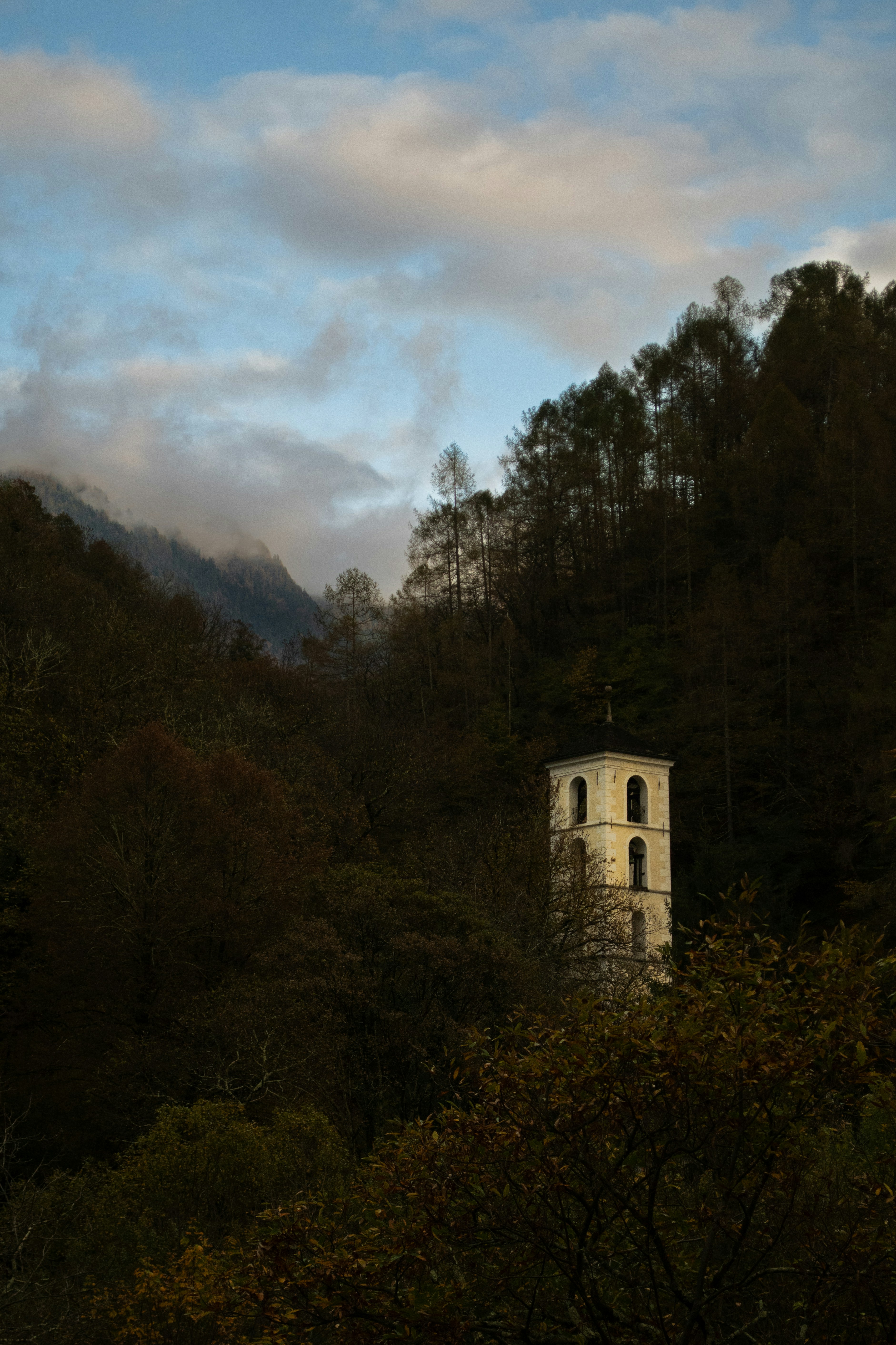 Whispers of Time: A Tower Amidst the Trees