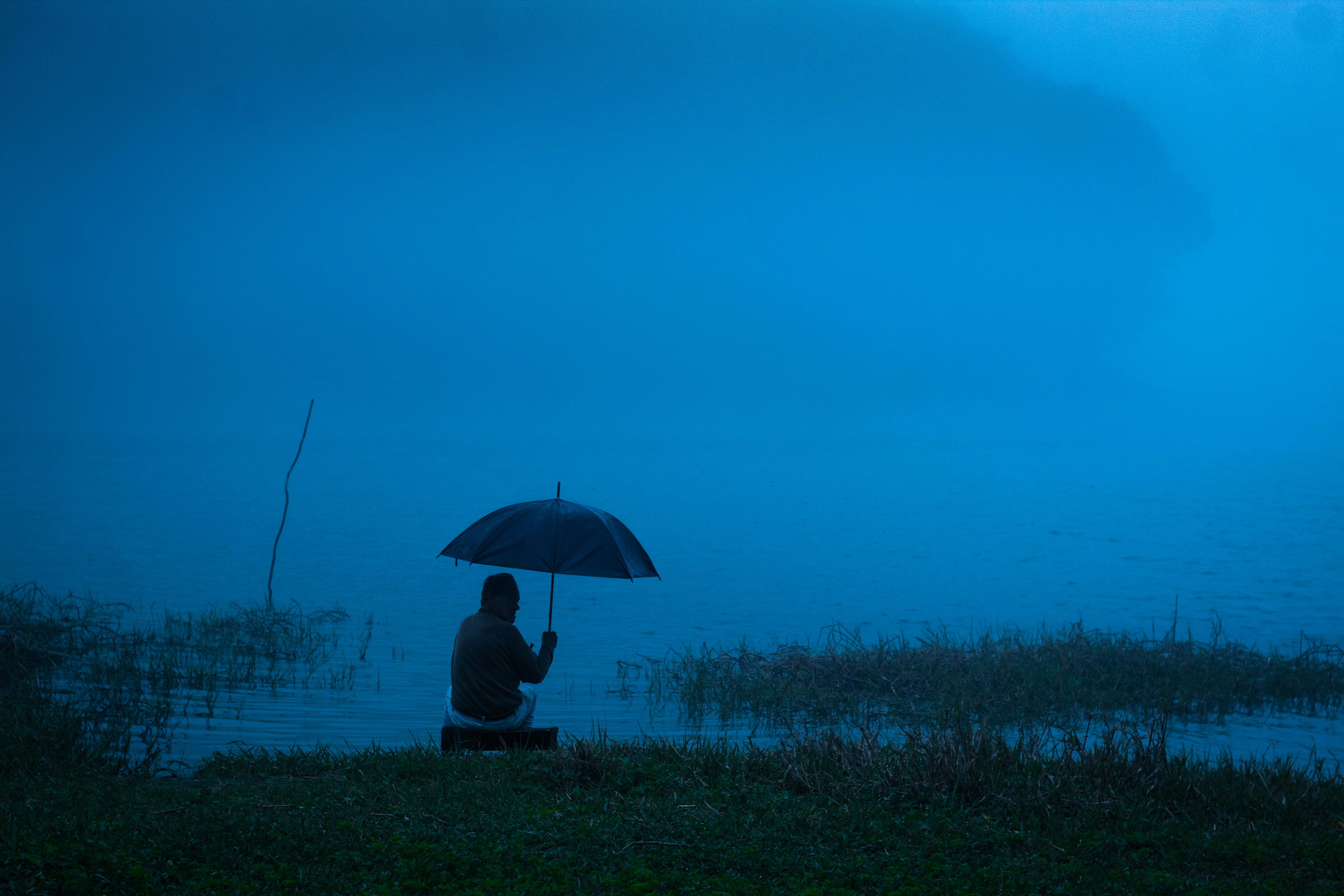 Whispers of Solitude on a Misty Lake