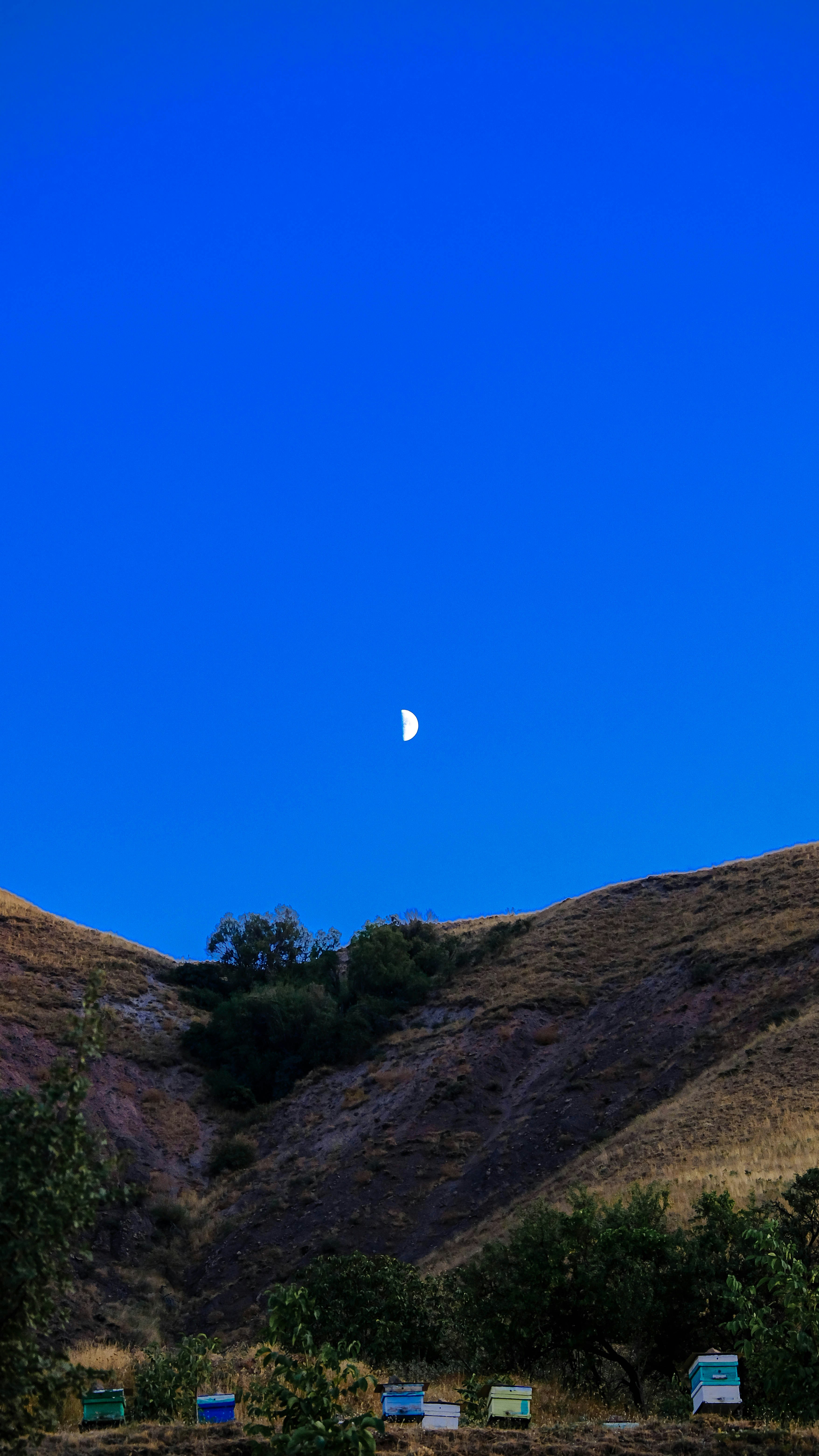 Lunar Whisper Above the Hills