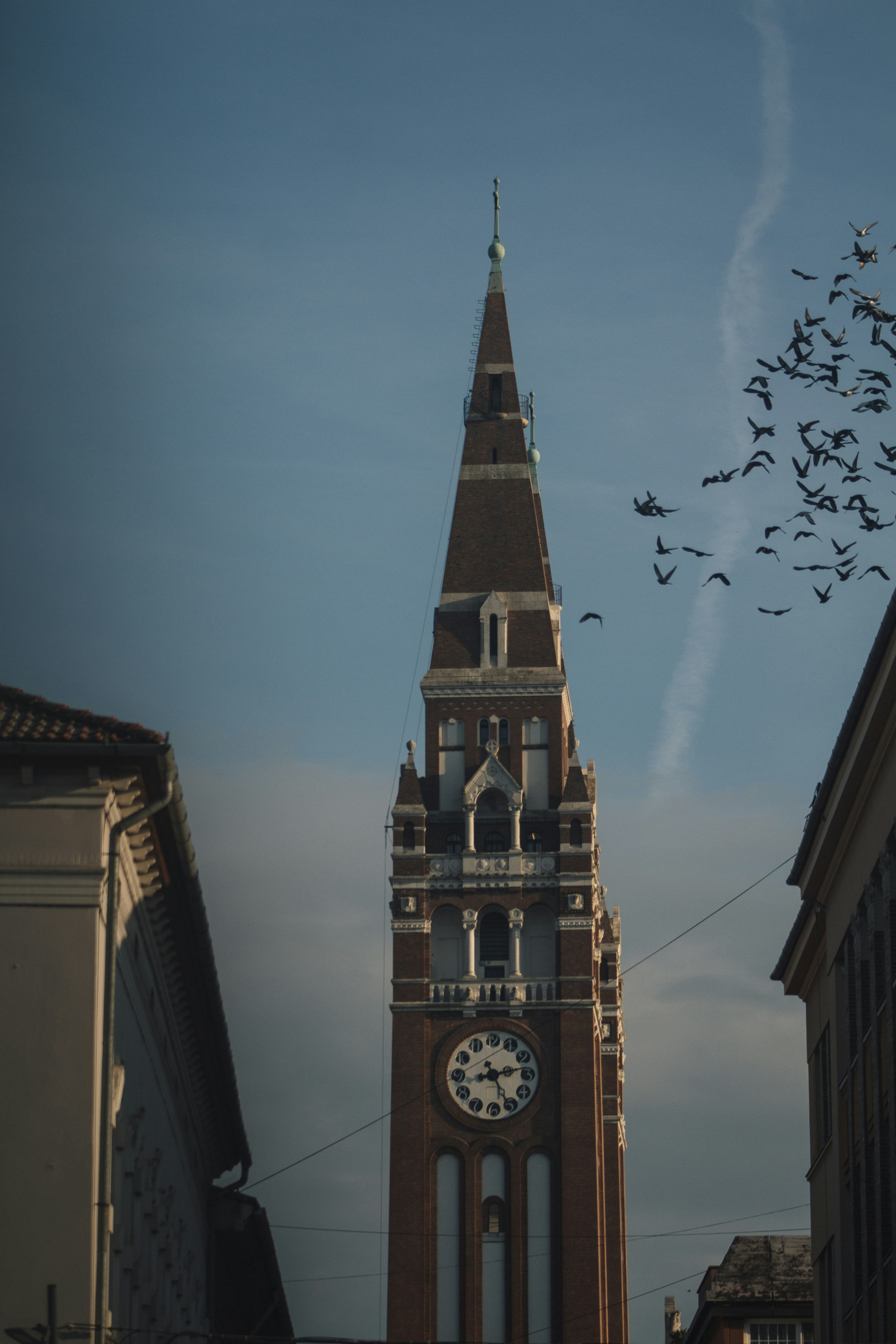Tall clock tower with birds flying in blue sky