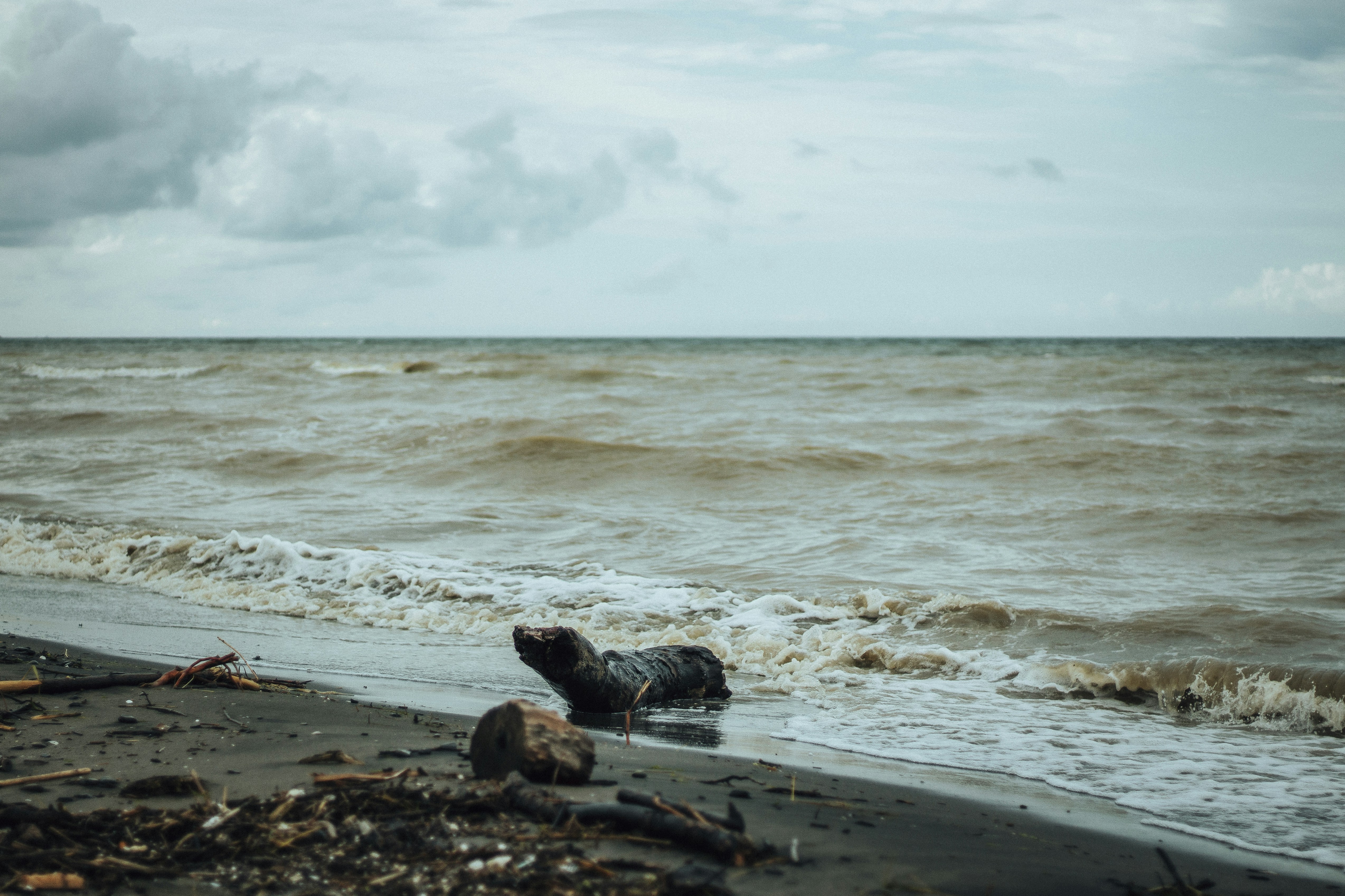 A log washes ashore on a dark, sandy beach.
