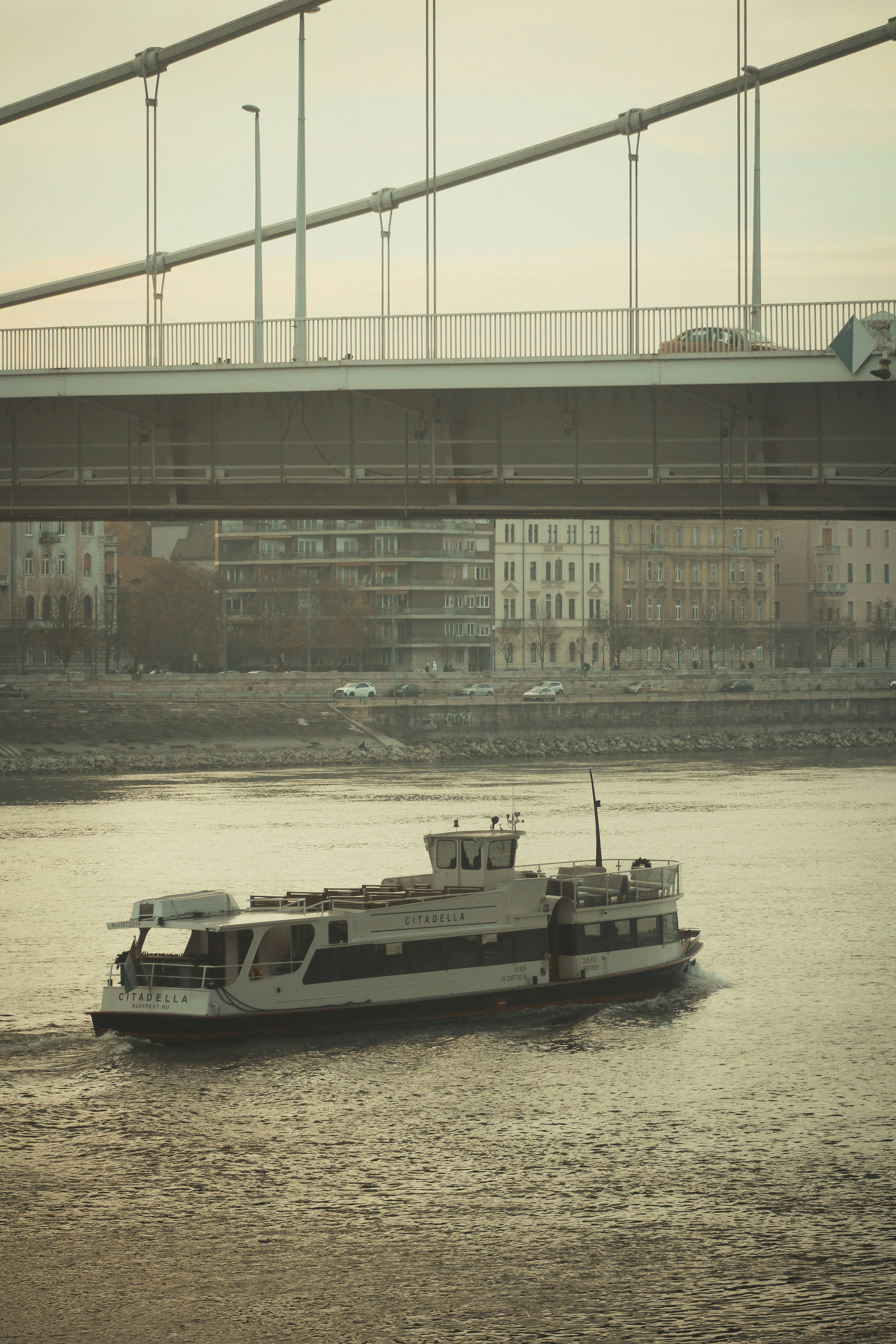 Urban Serenity: The River's Embrace