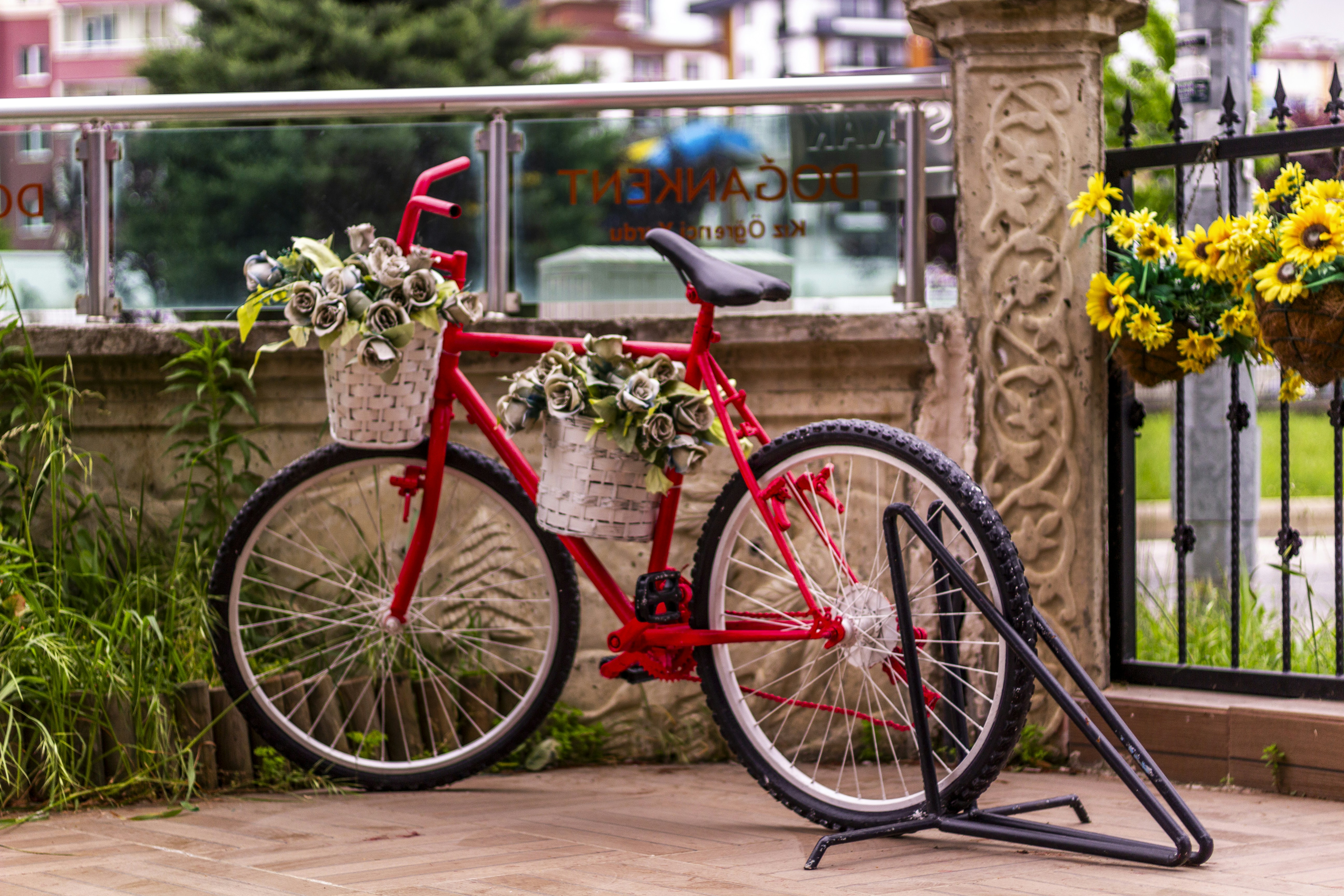 Whimsical Urban Bloom: A Bicycle's Floral Charm