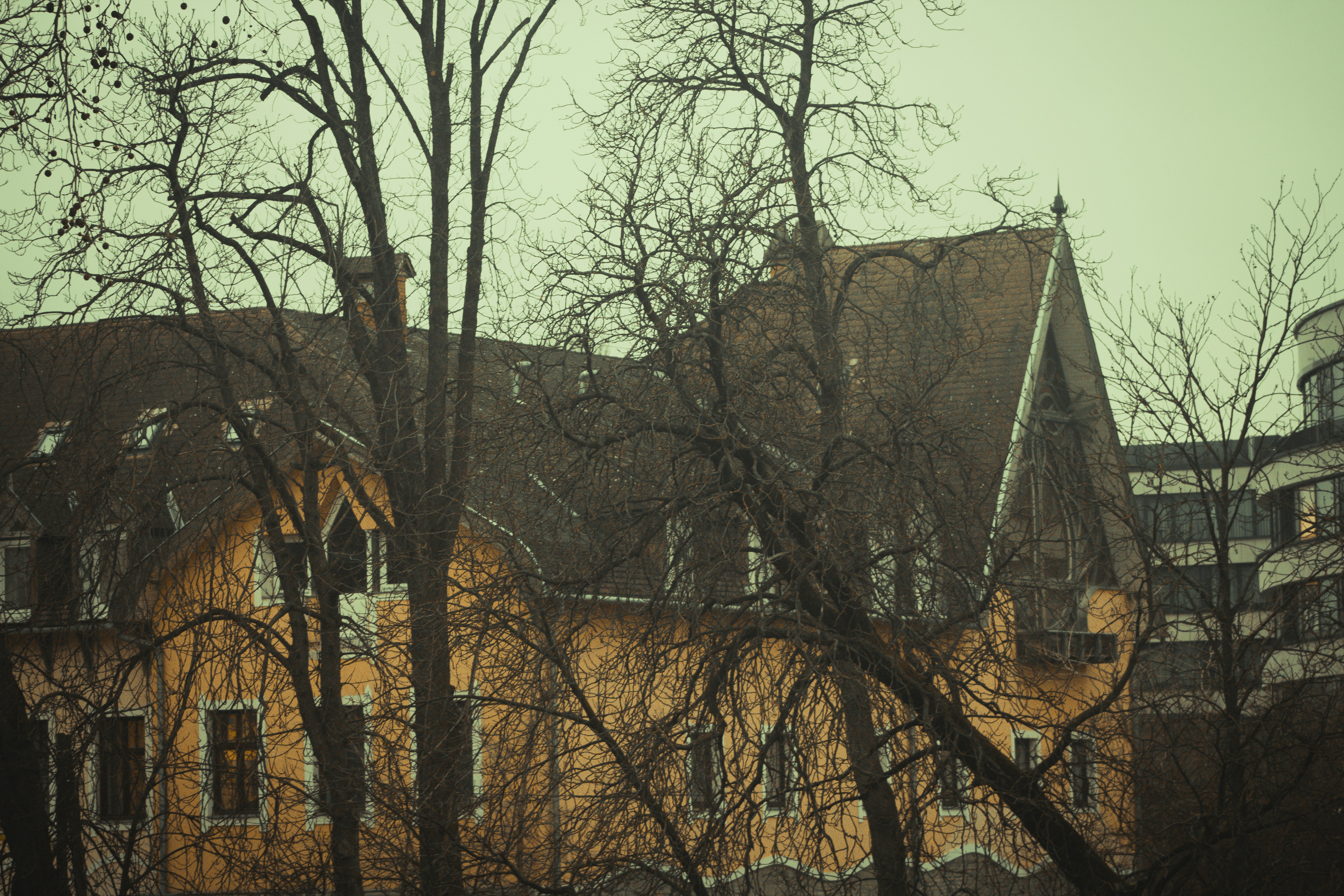 Old yellow building behind bare trees in overcast weather