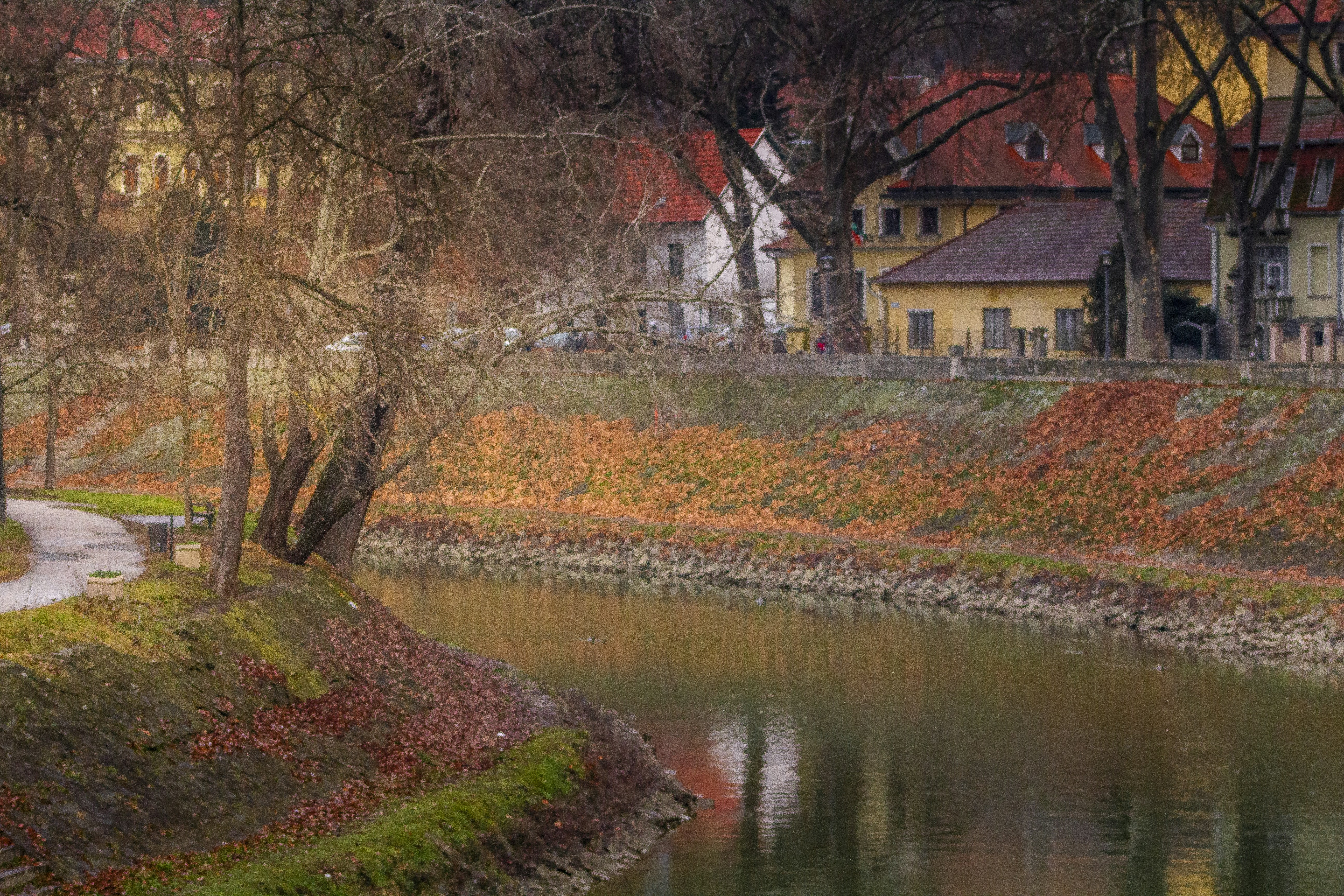 Autumnal foliage lines a calm river with buildings beyond.