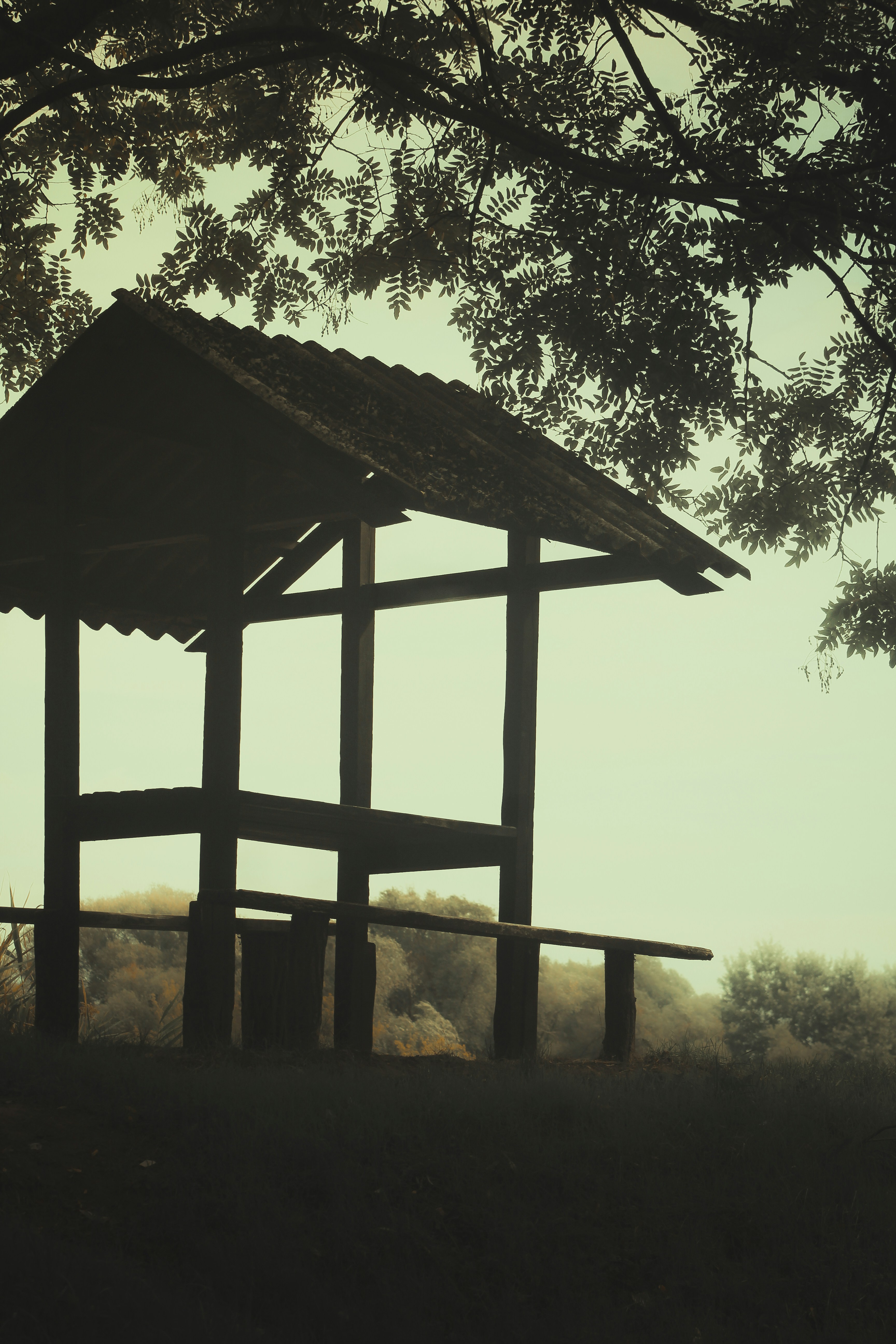 Wooden gazebo with bench in misty forest setting