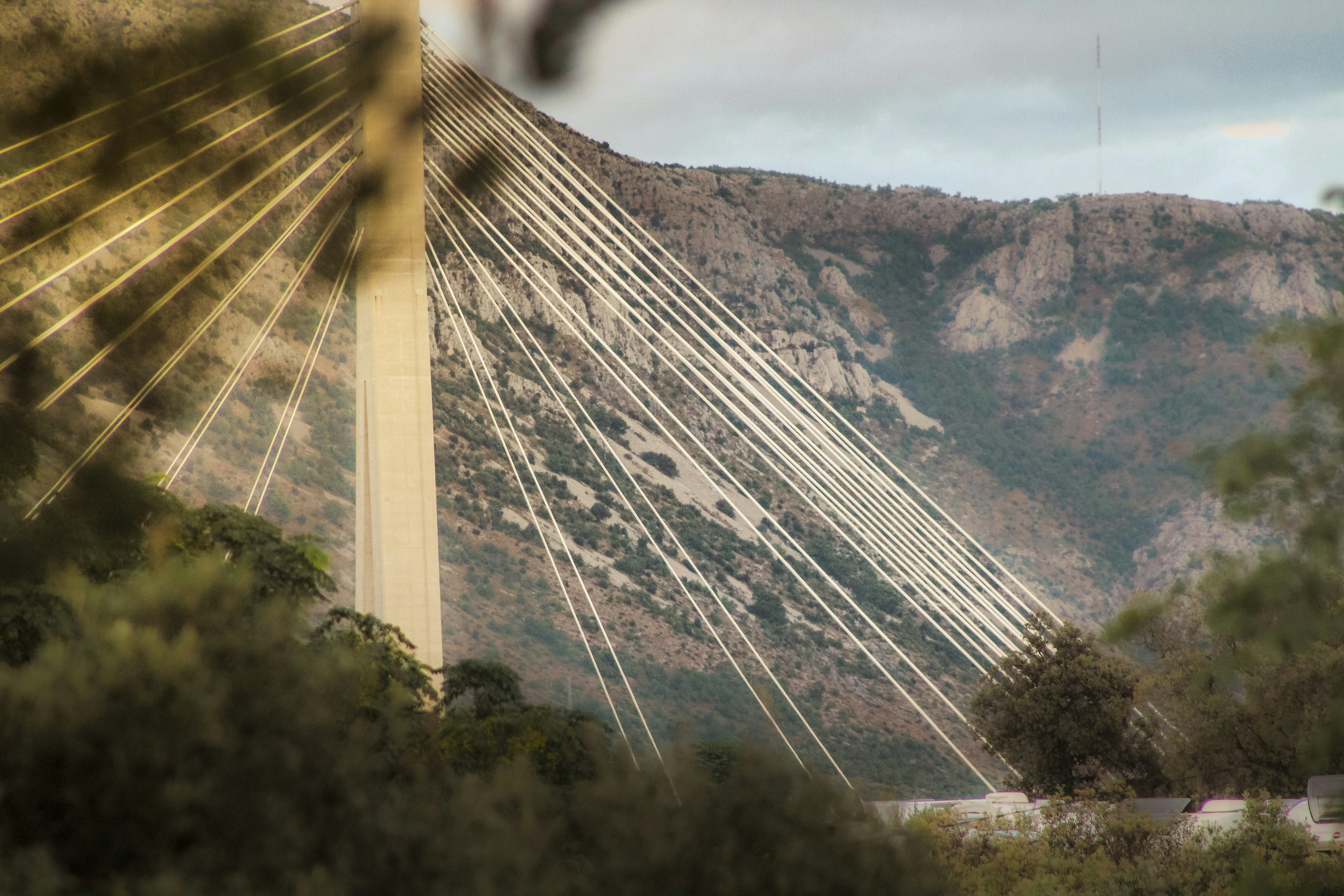 Suspended Elegance: The Symphony of Structure and Nature