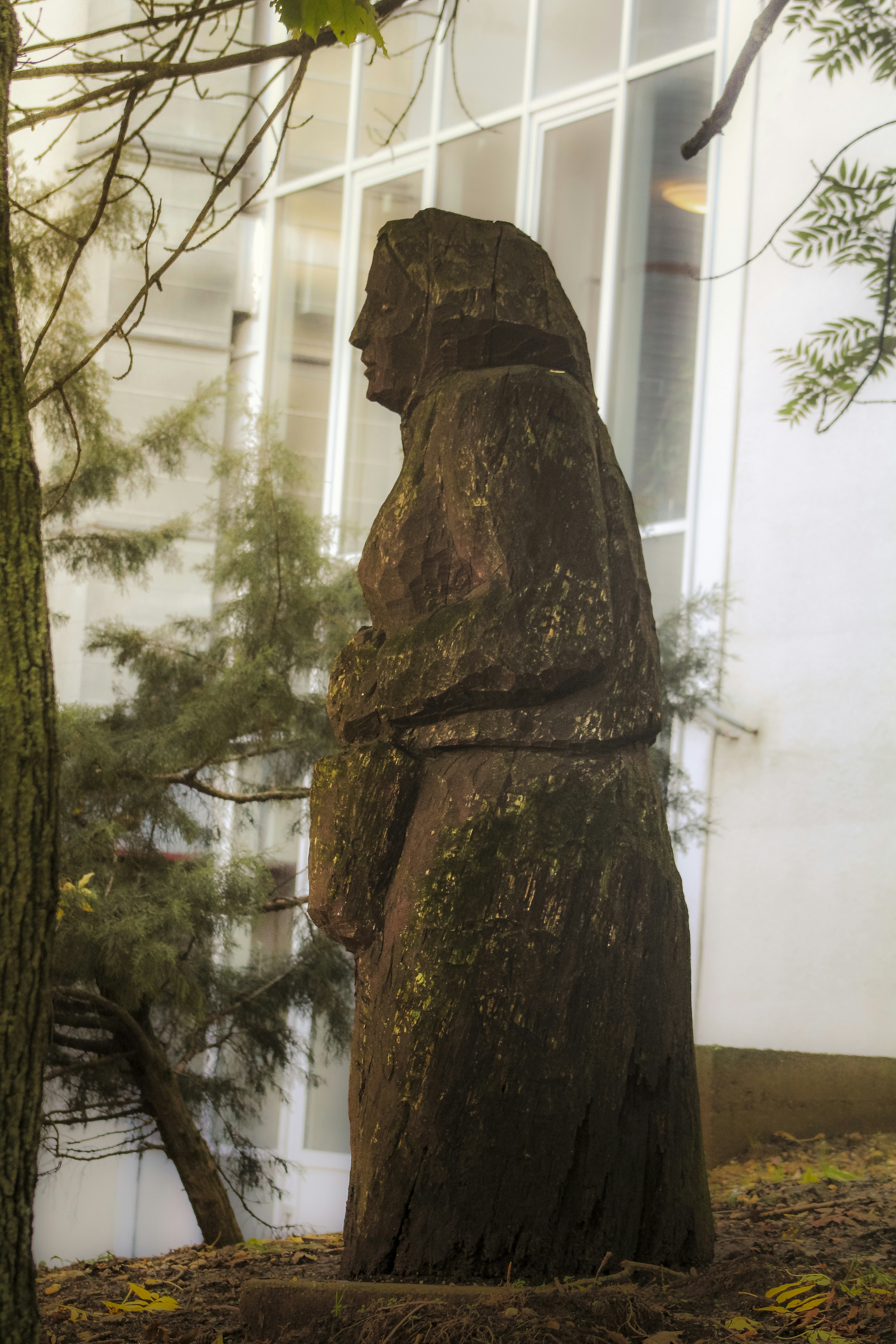 Nature's Sentinel: The Guardian of the Grove