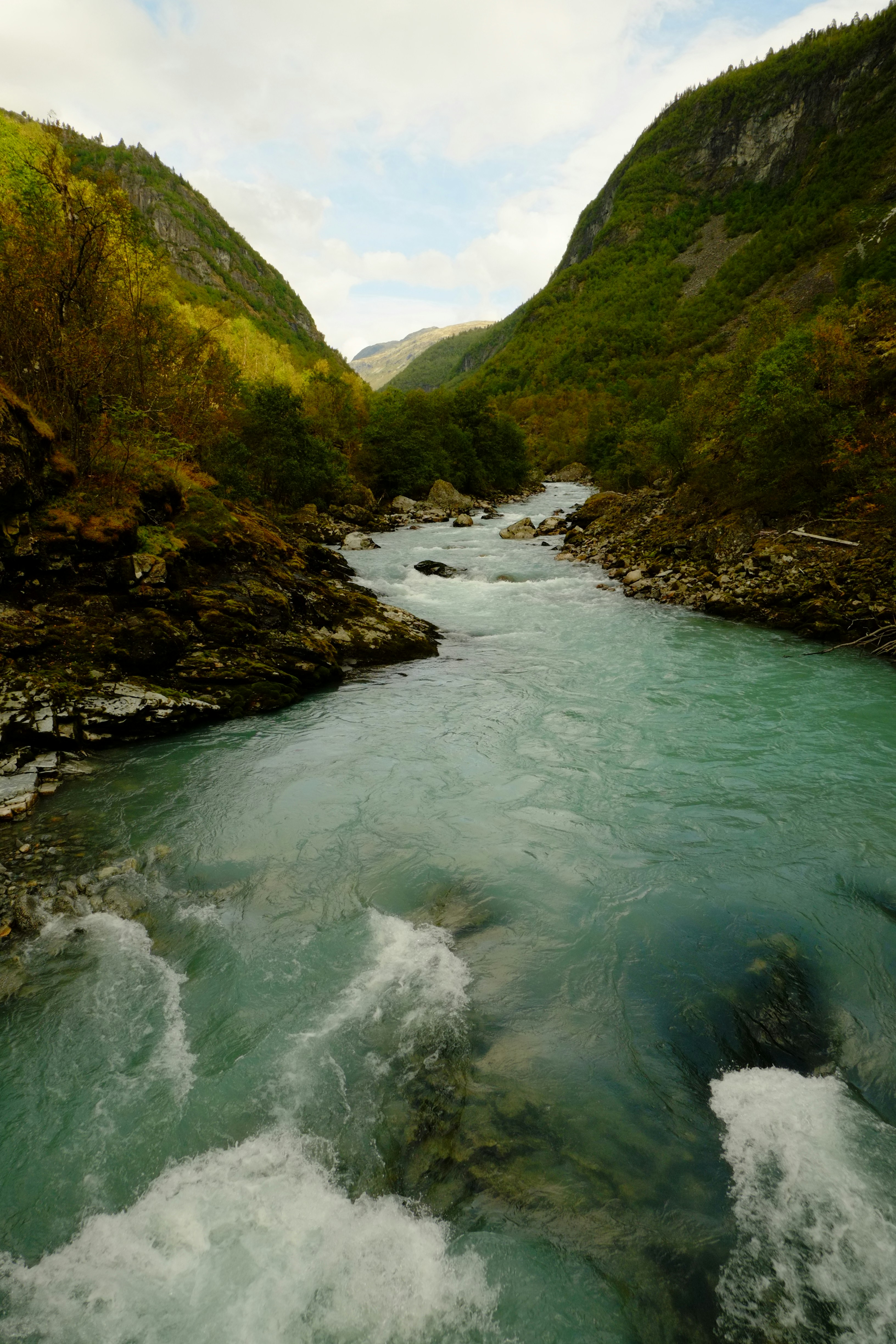 Whispers of the River Valley