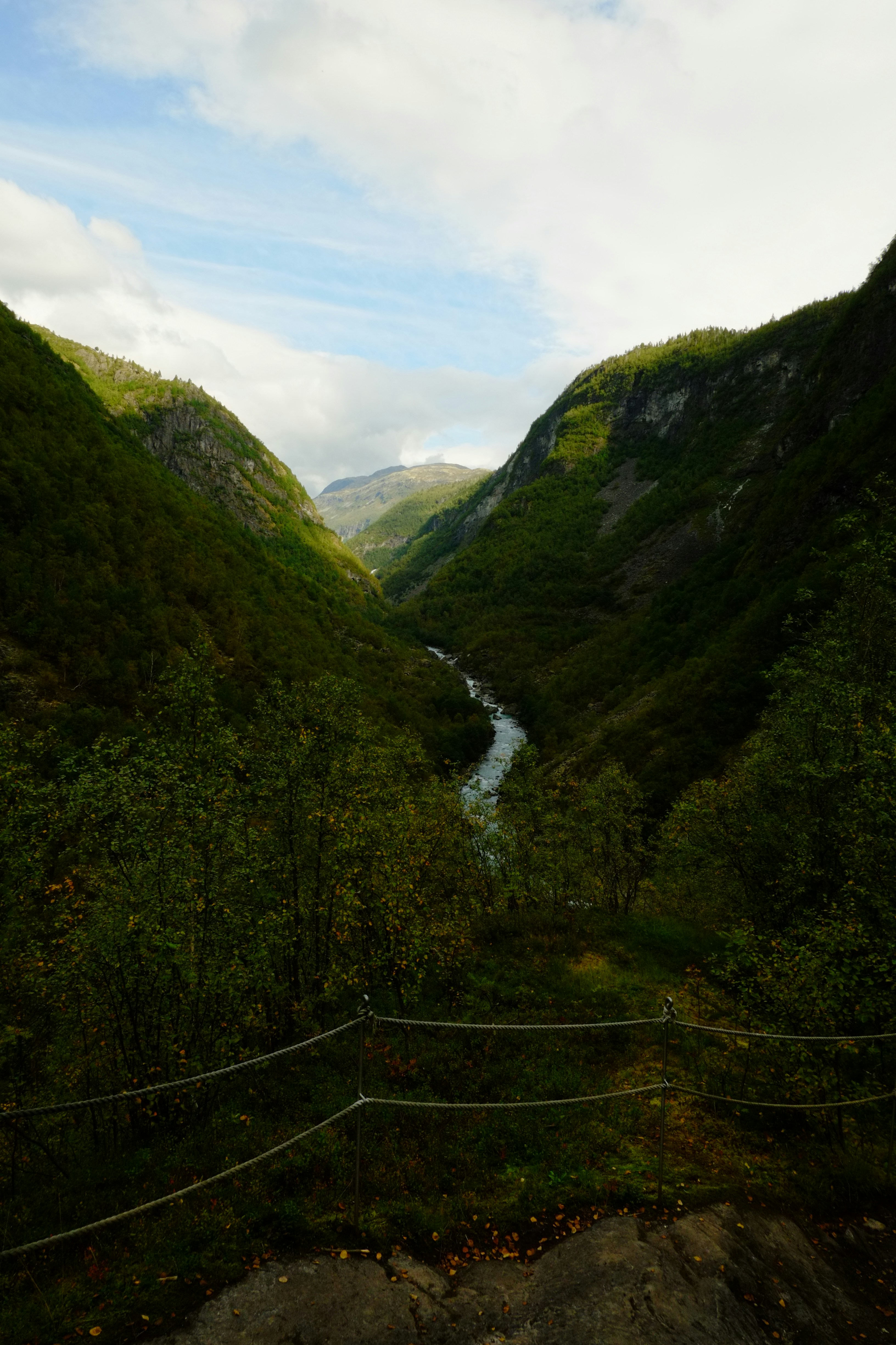 Whispers of the Valley: A Serene River Journey