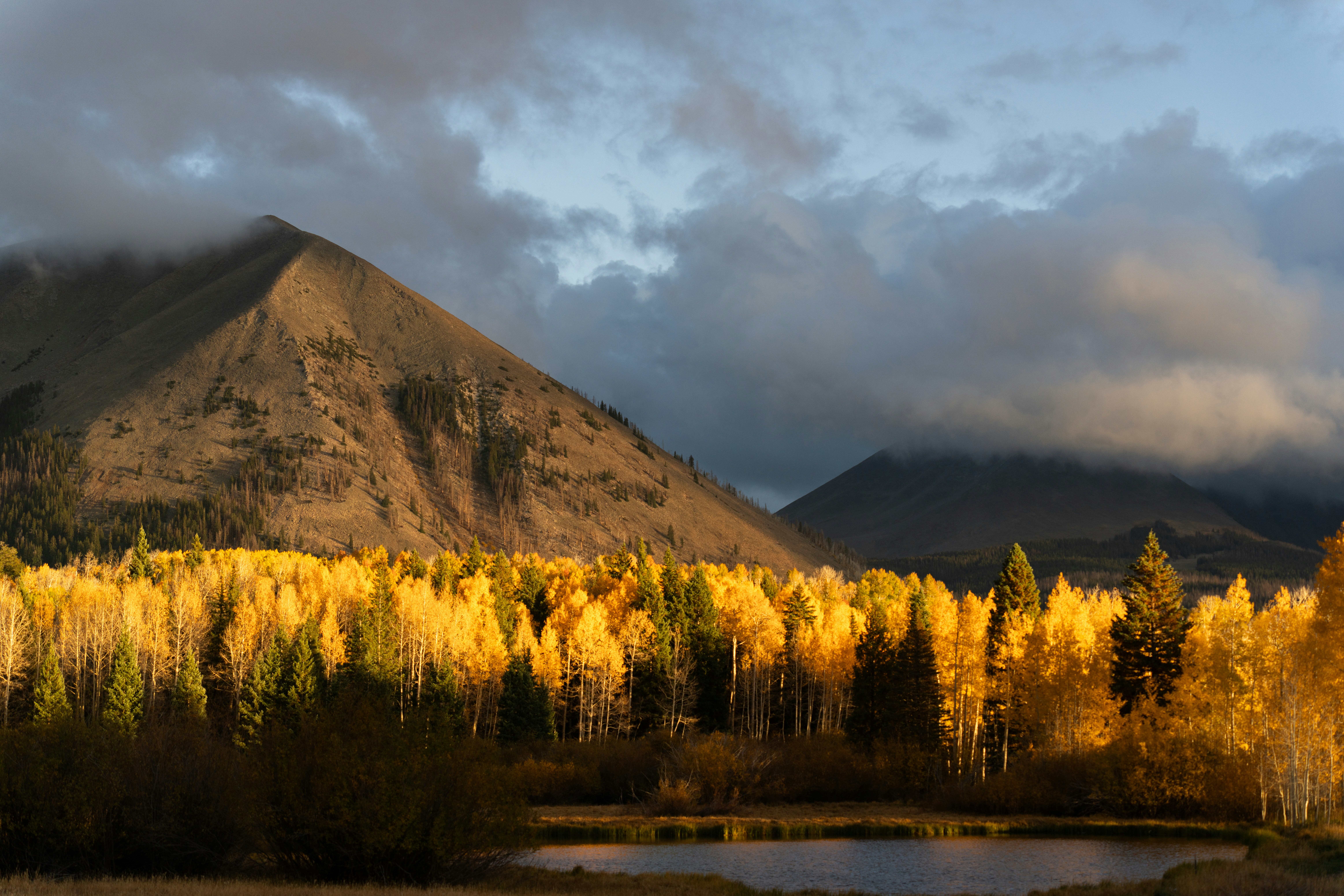 Golden Pines Fringing a Quiet Lake Beneath Alpine Peaks