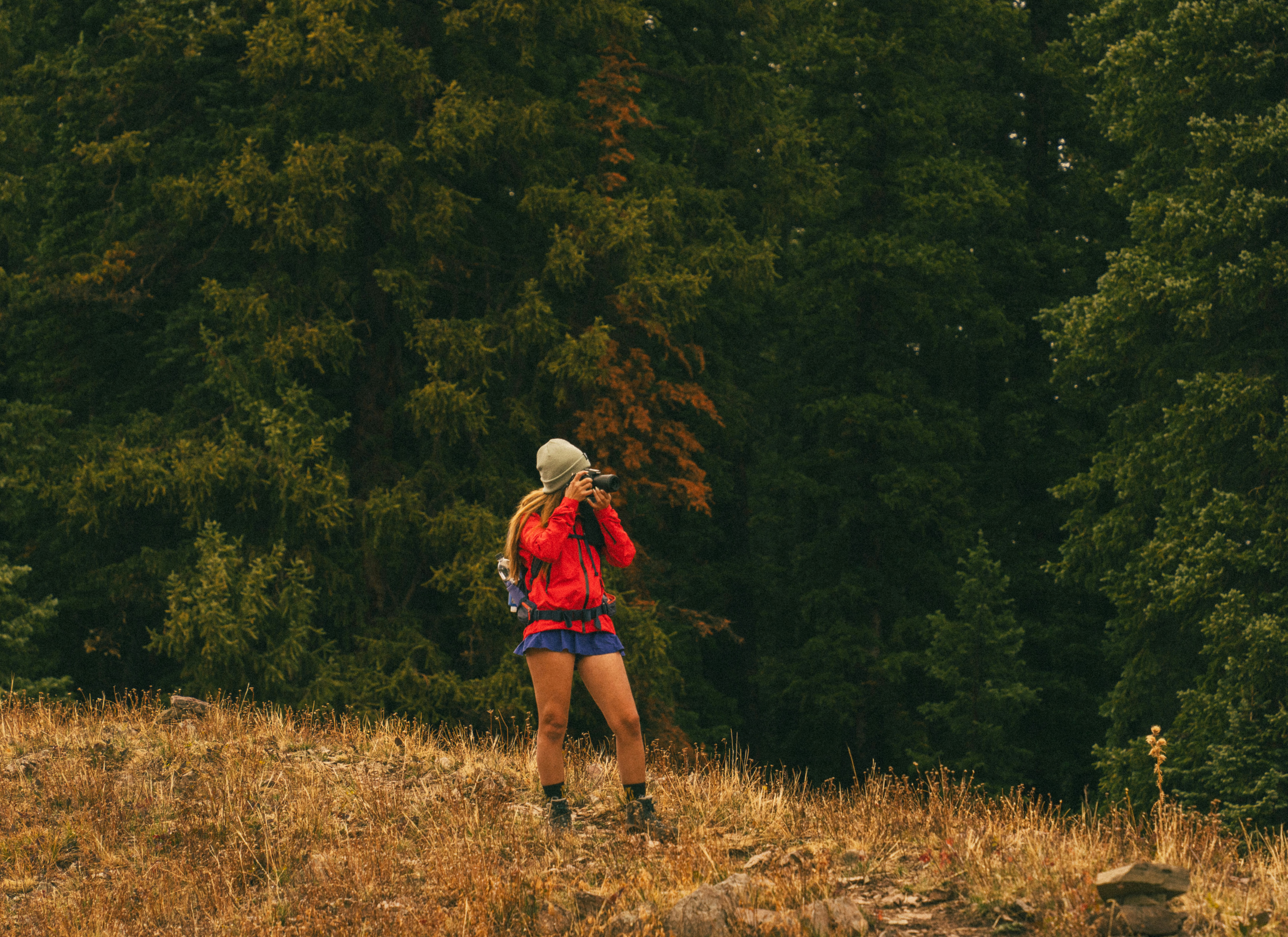 Femme en randonnée dans un paysage forestier dense photo – Image ...