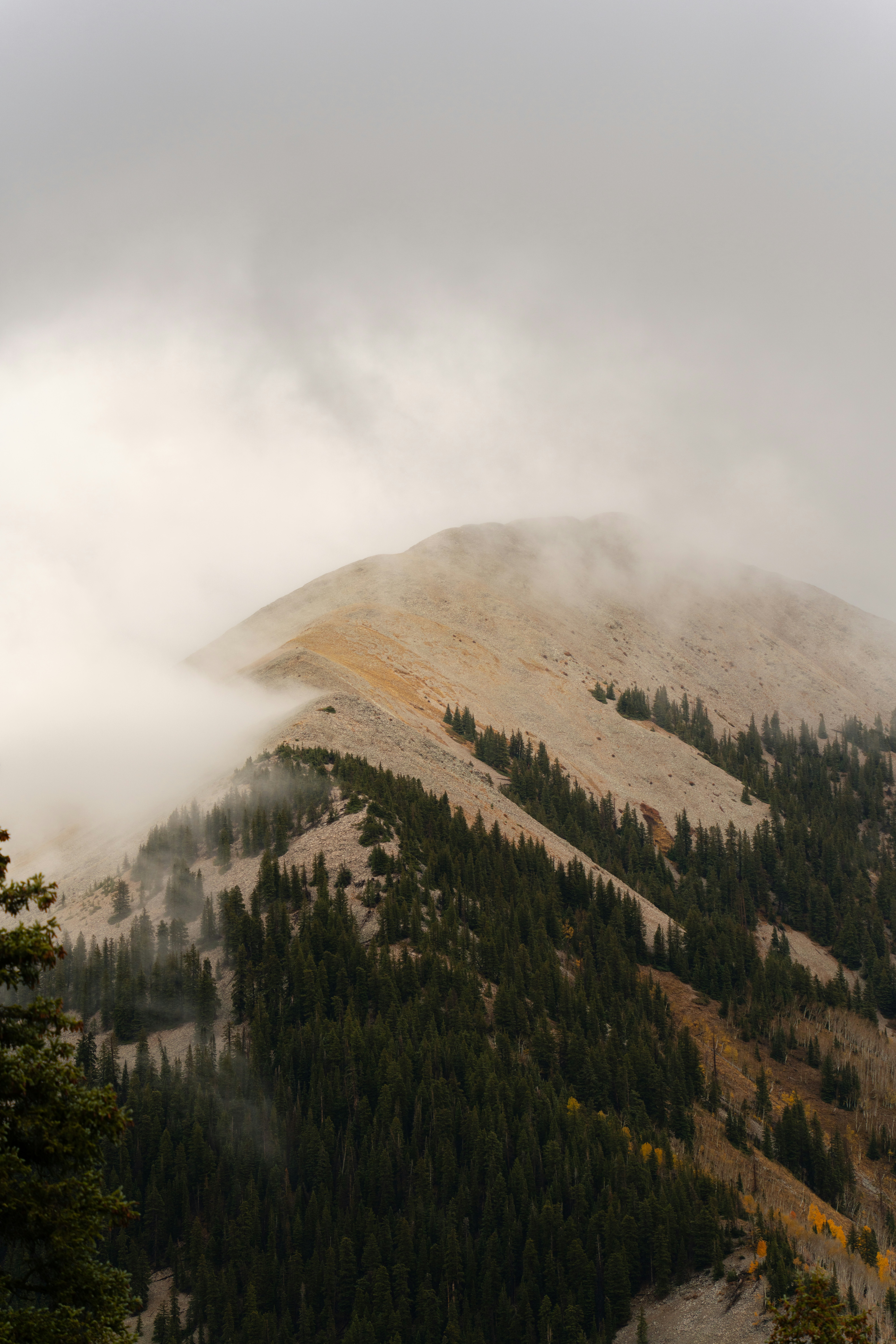 Veil of Mist Over Mountain Peaks