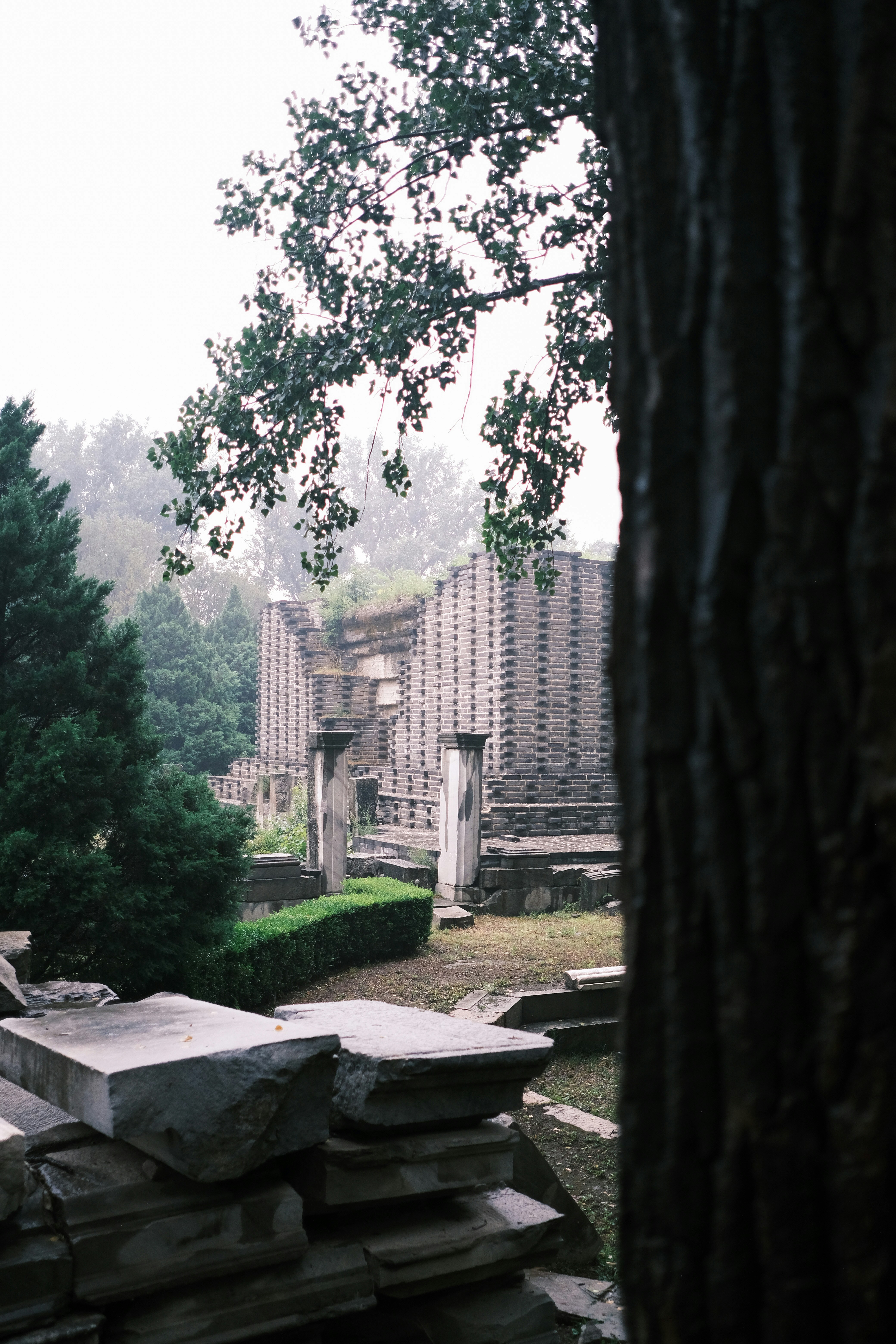 Ruins of an ancient stone building with overgrown trees