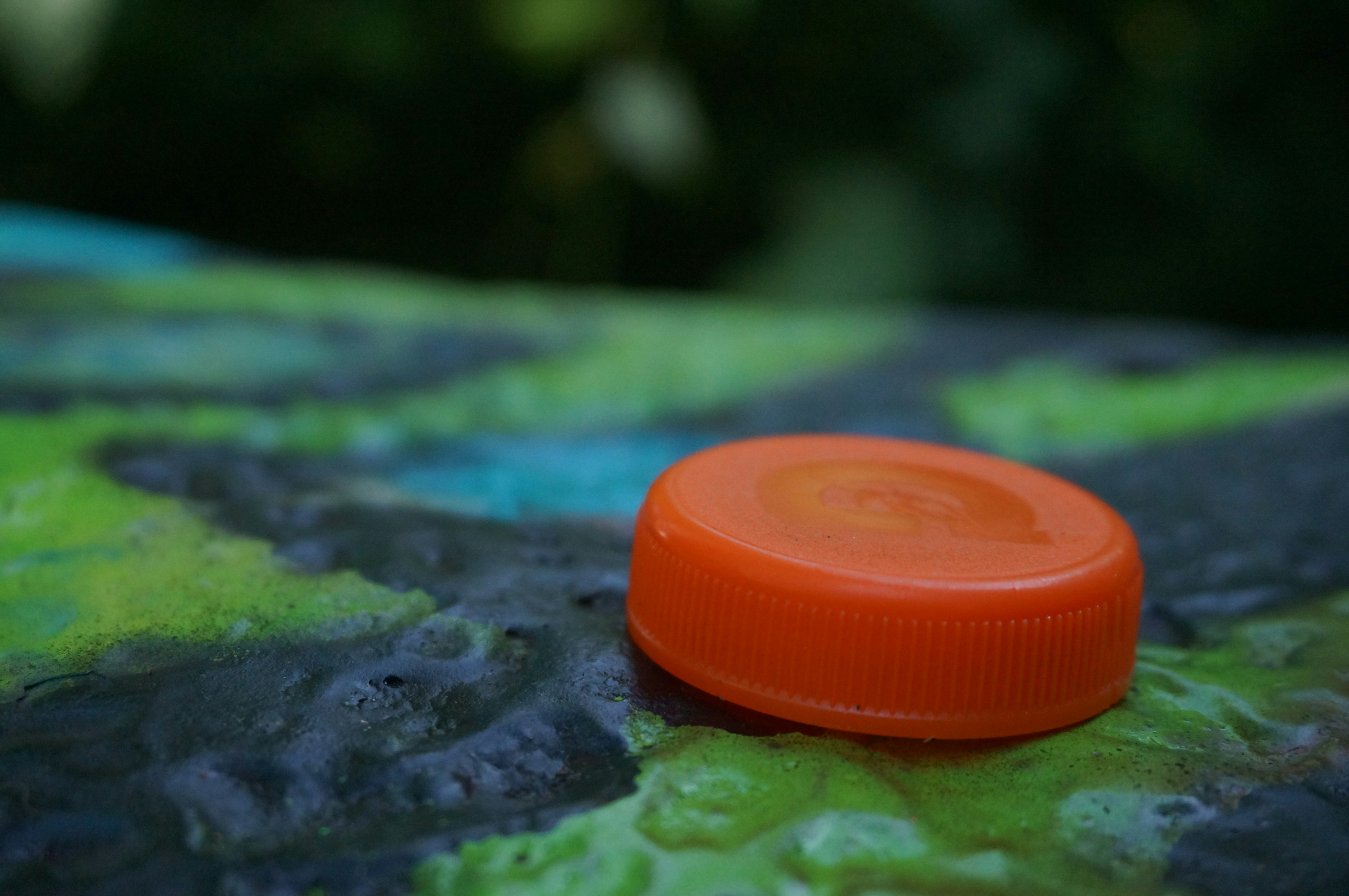 Vibrant Contrast: An Orange Cap Amidst Nature's Palette