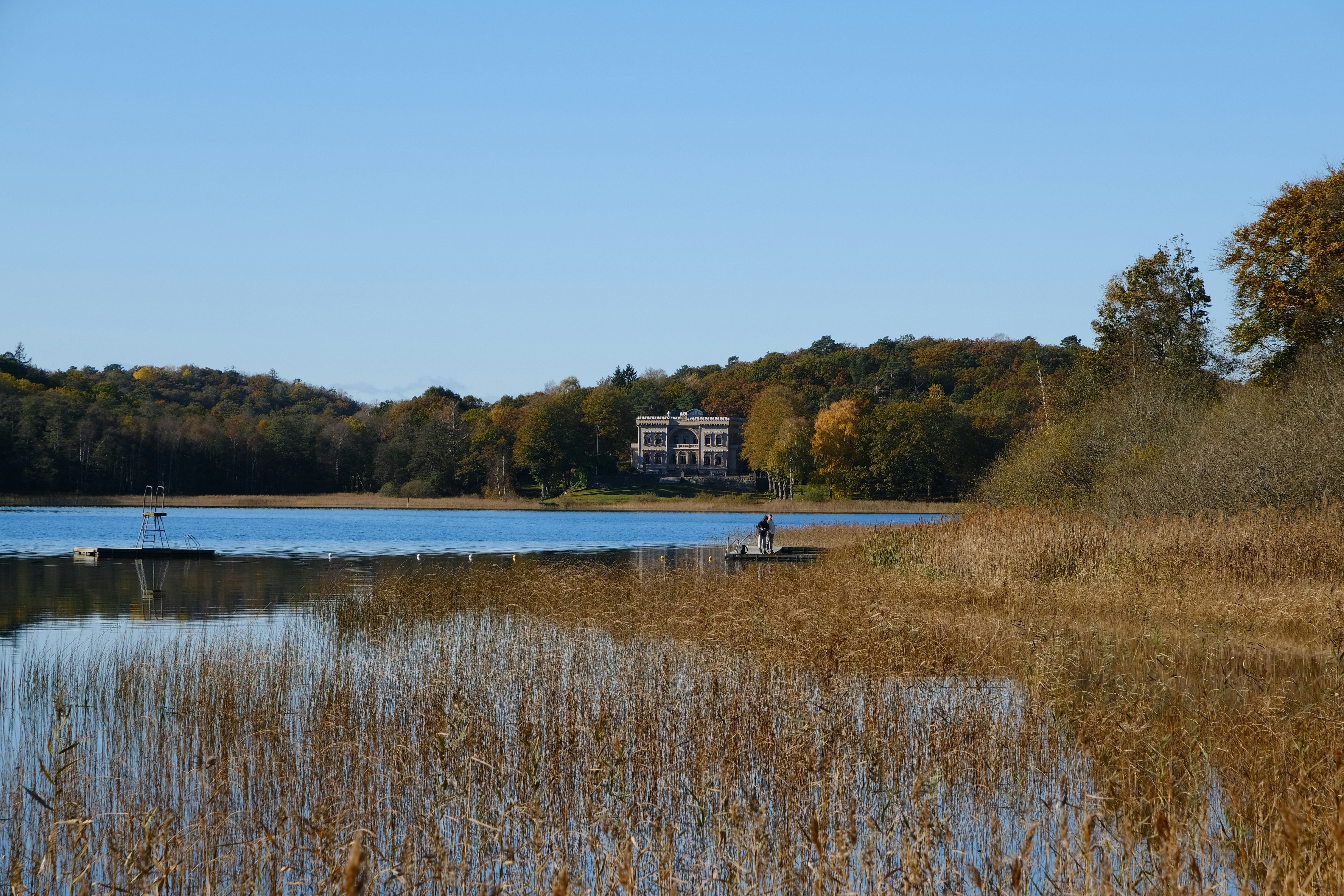 Reflections of Serenity: A Lakeside Retreat